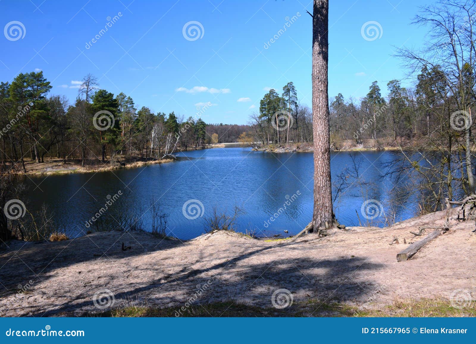 Spring on the Lake. Clear Sky with Light Clouds and Trees are Reflected ...