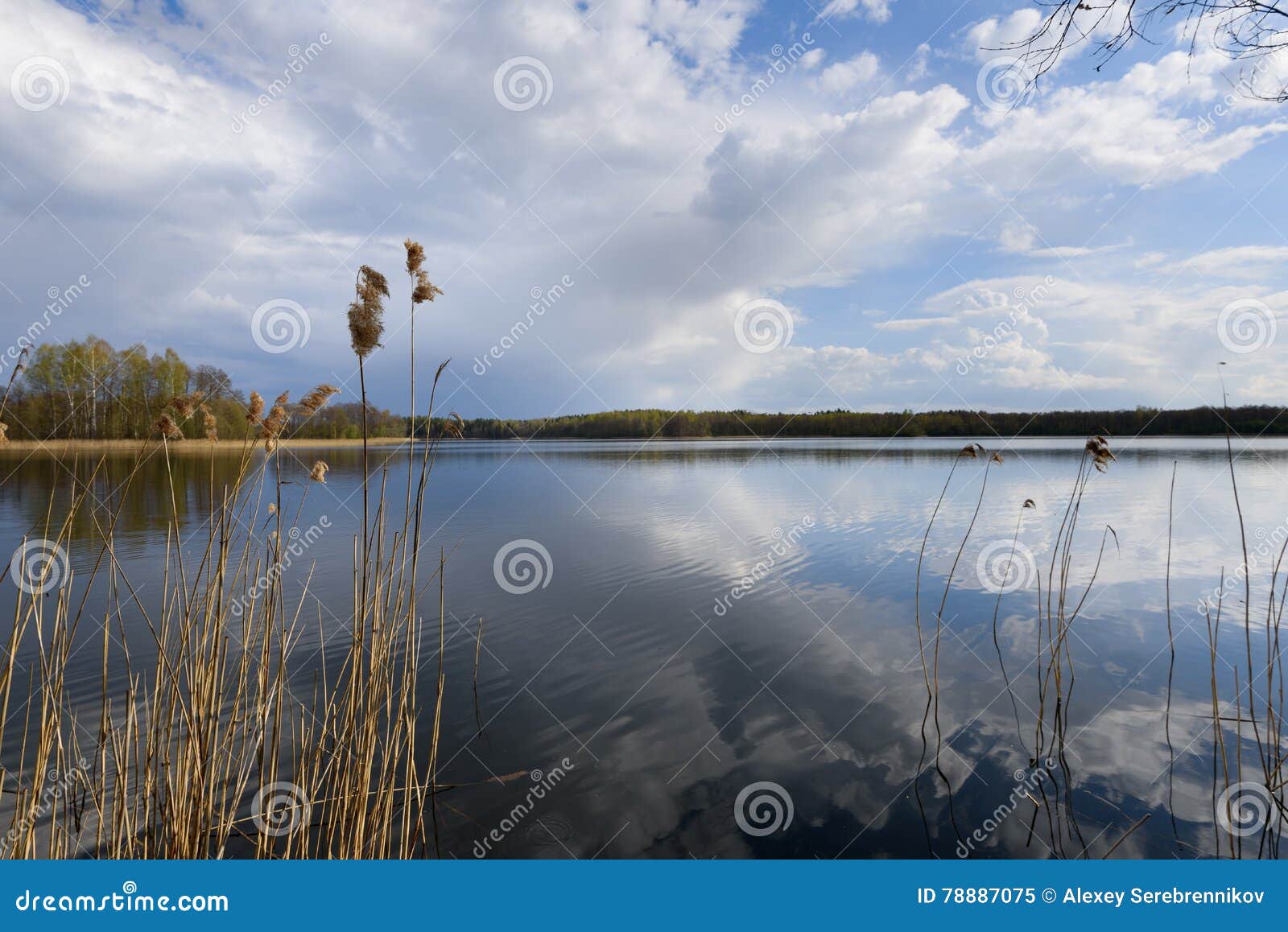 Spring lake stock image. Image of lake, spring, freshness - 78887075
