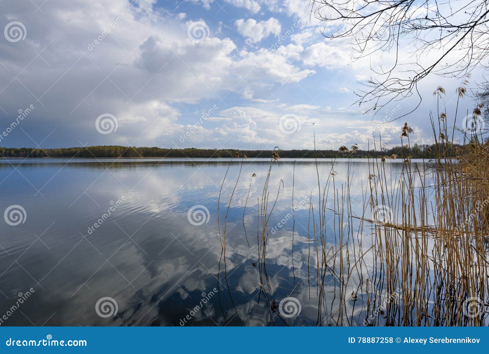 Spring lake. stock photo. Image of conservation, color - 78887258