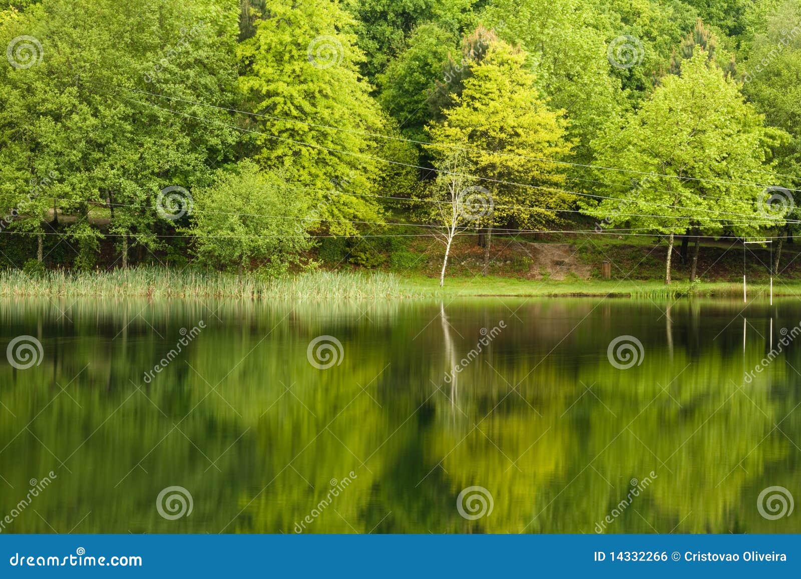 Spring lake landscape stock photo. Image of light, idyllic - 14332266