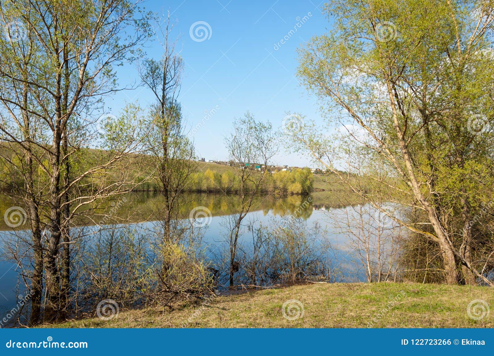 Spring Lake. Pond spring stock photo. Image of blue - 122723266