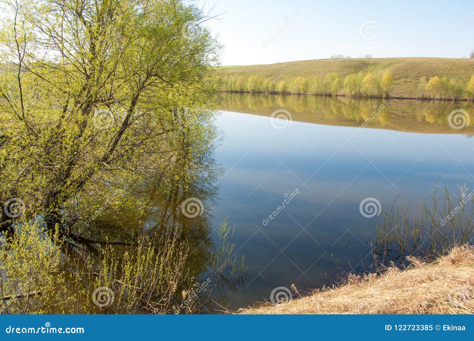Spring Lake. Pond spring stock image. Image of season - 122723385