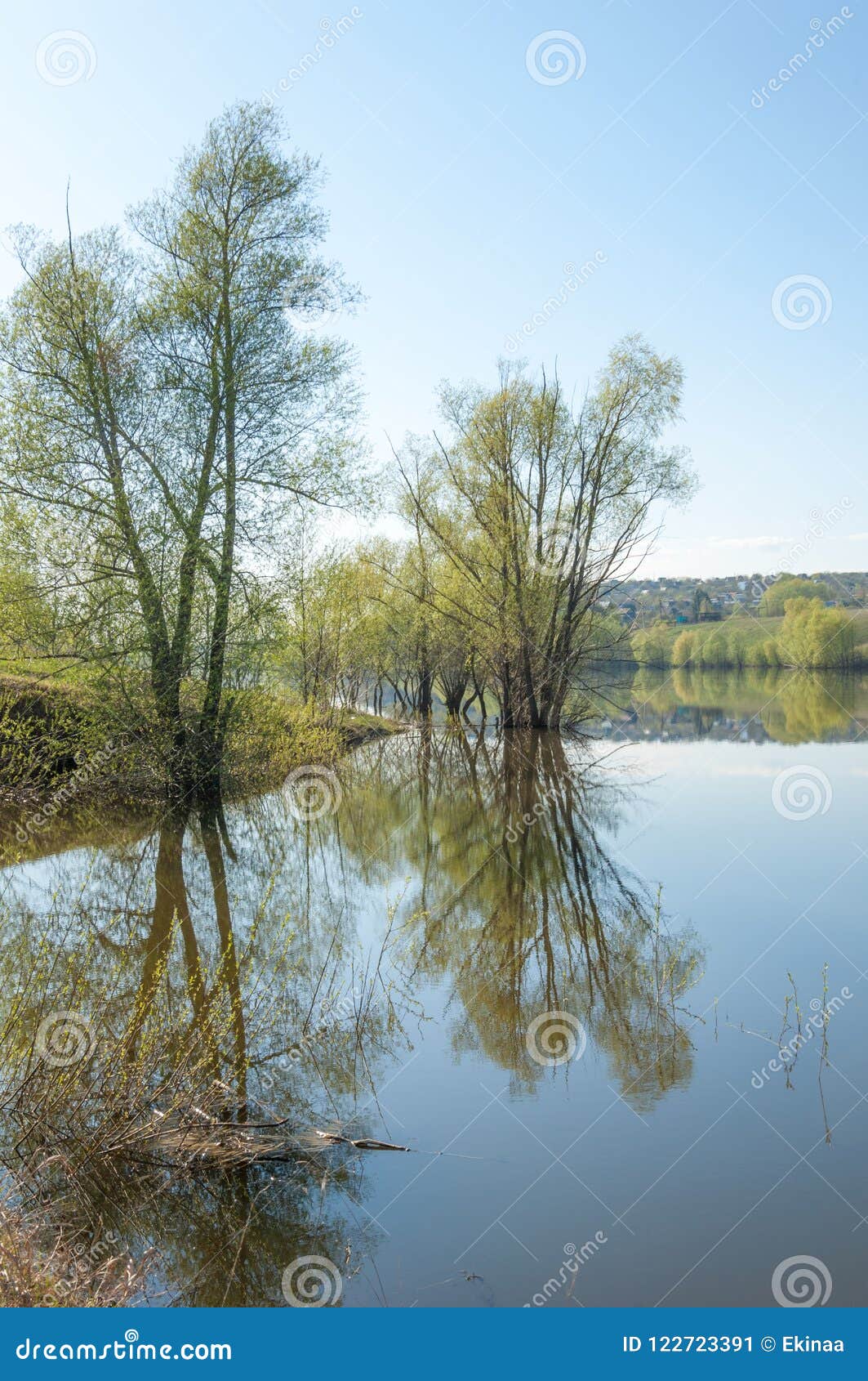 Spring Lake. Pond spring stock image. Image of landscape - 122723391