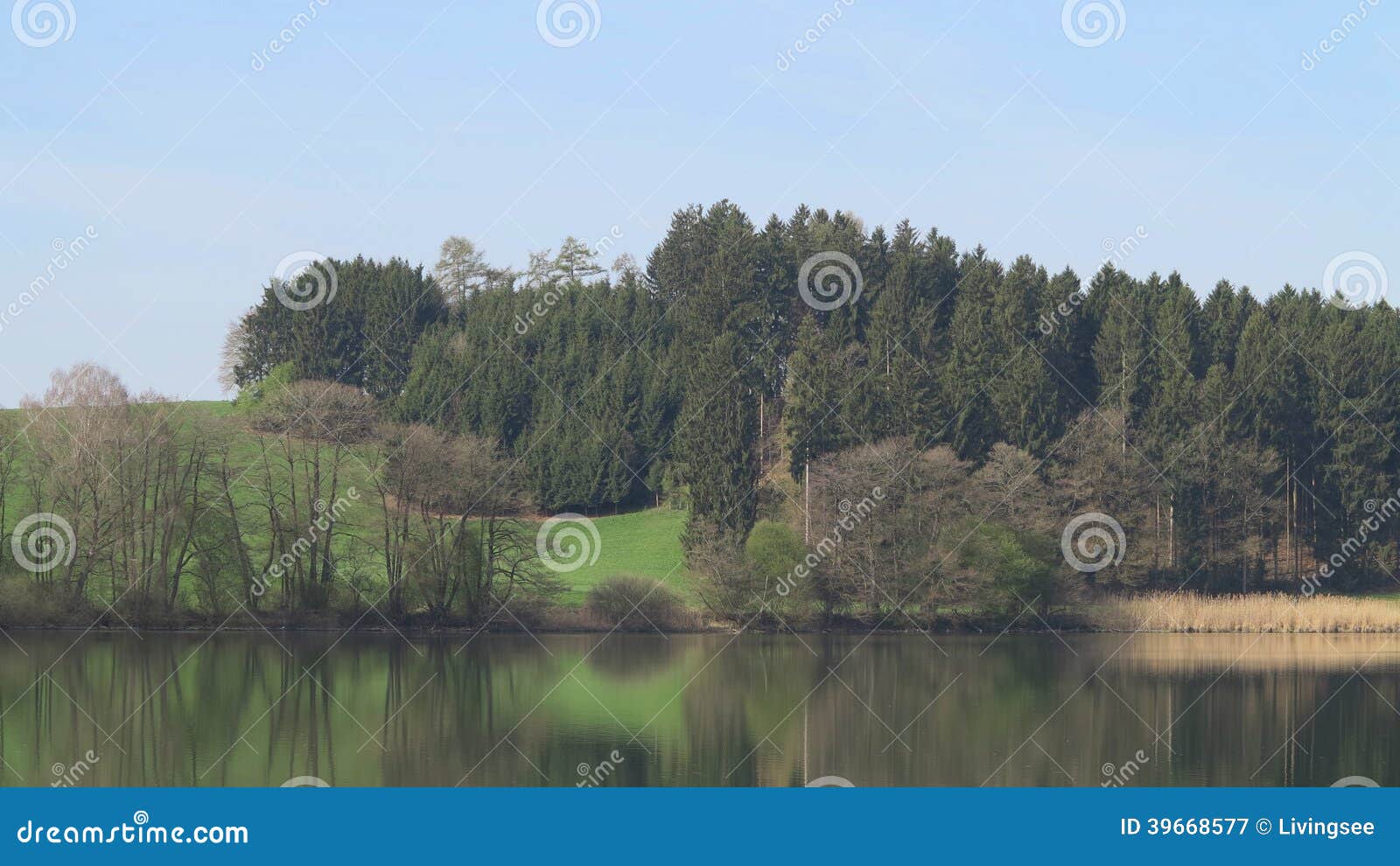 Spring at the lake stock image. Image of camping, forest - 39668577
