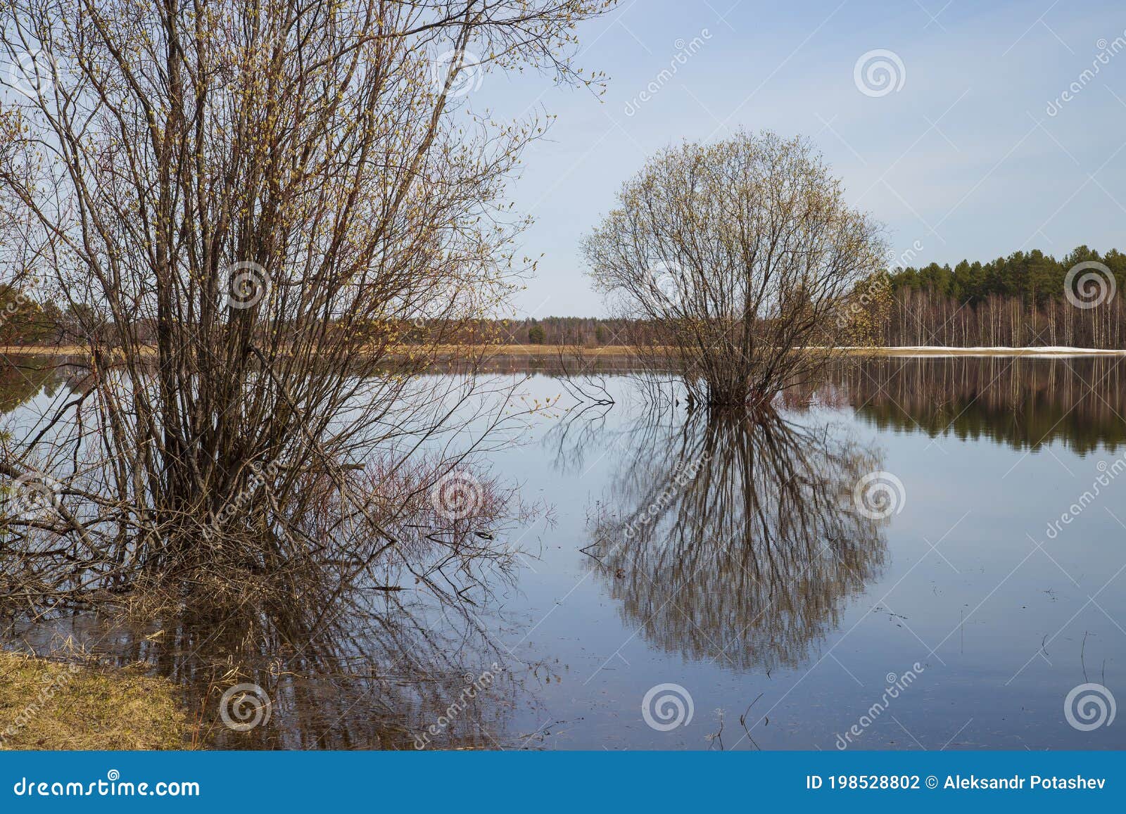 Spring on the Lake. Spill in the Spring Stock Photo - Image of ...