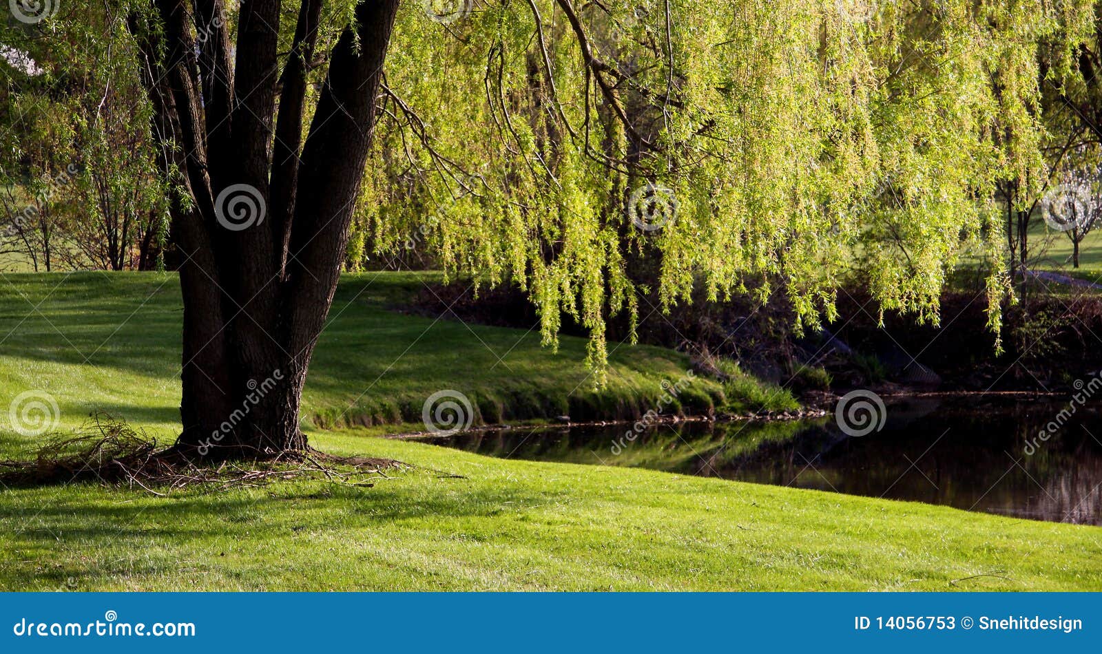 Spring landscape stock image. Image of fall, mist, trees - 14056753