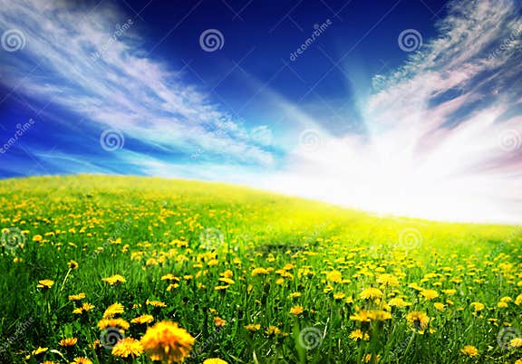 Spring Landscape stock image. Image of farmland, countryside - 14113983