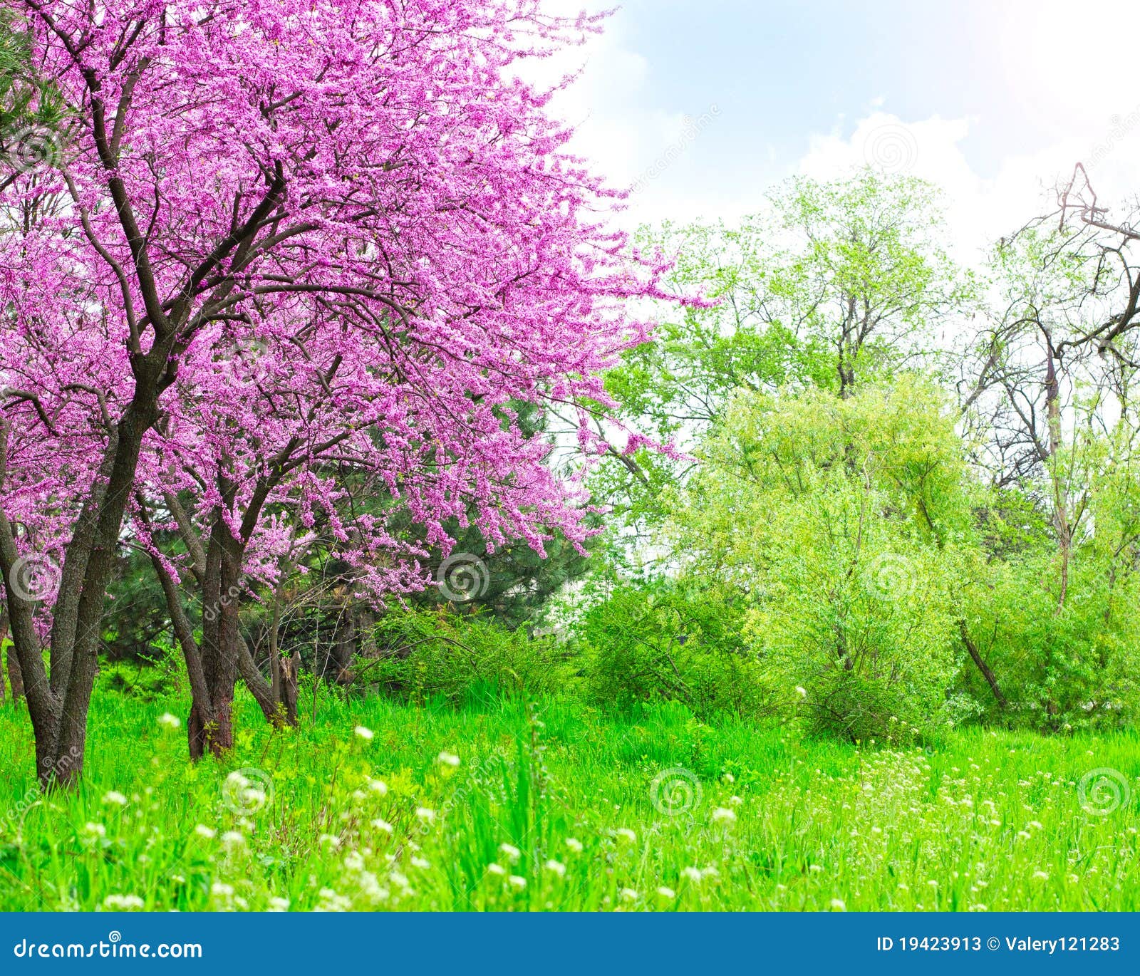 Spring landscape stock image. Image of natural, grass - 19423913