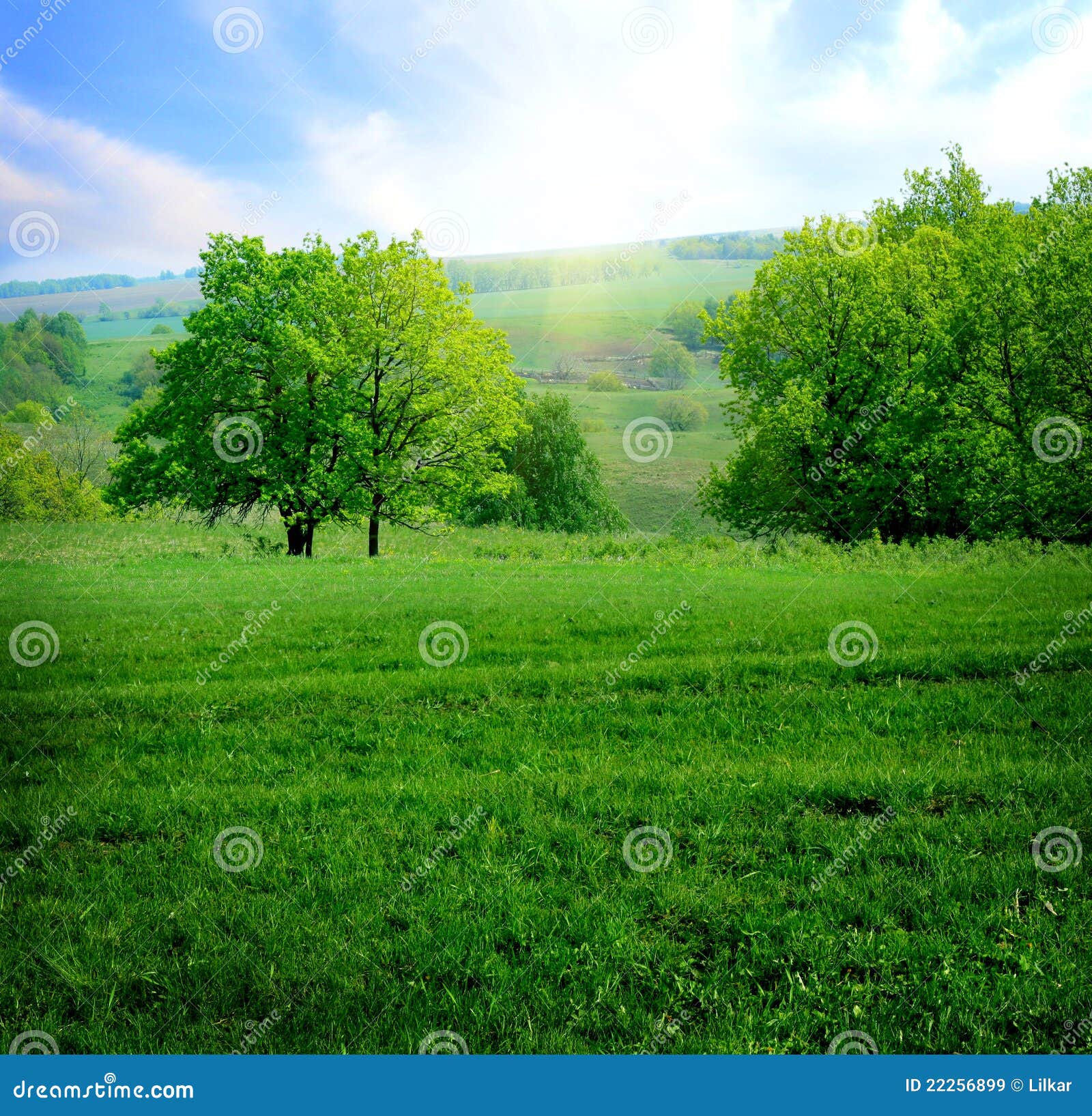 Spring landscape stock image. Image of leafy, natural - 22256899
