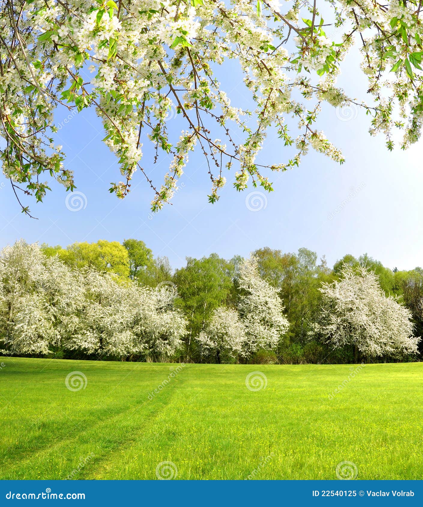 Spring landscape stock image. Image of nature, meadow - 22540125