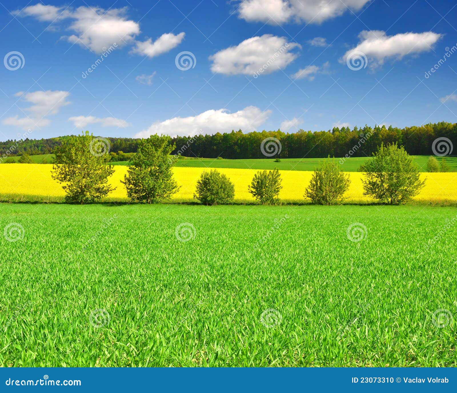Spring landscape stock photo. Image of field, outside - 23073310