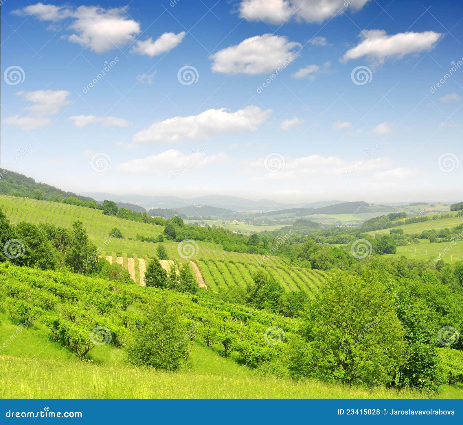 Spring landscape stock photo. Image of clearing, leaves - 23415028