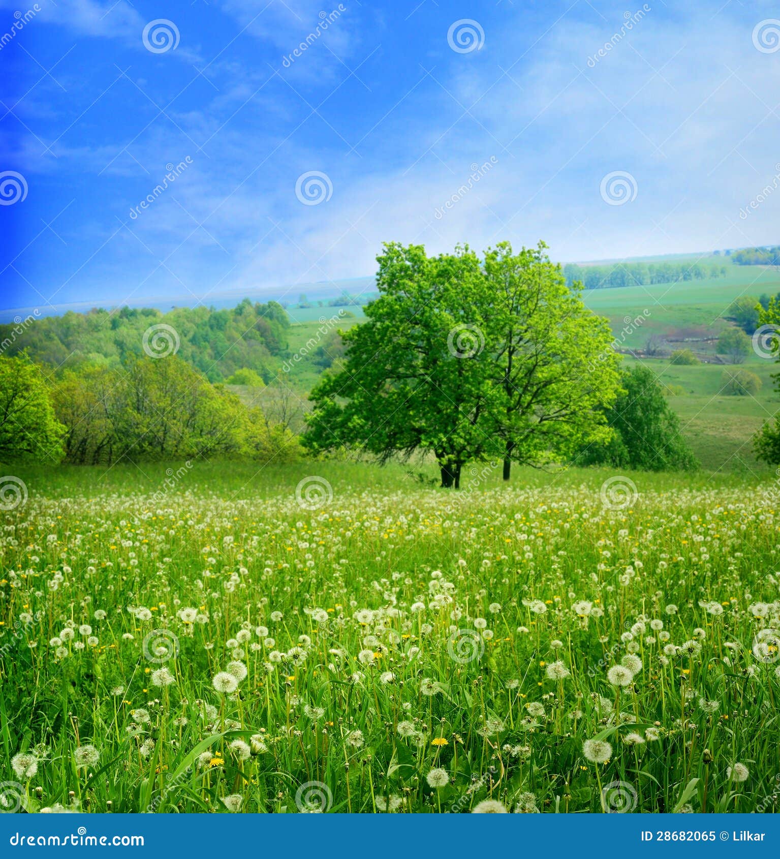 Spring landscape stock image. Image of scenic, scenery - 28682065
