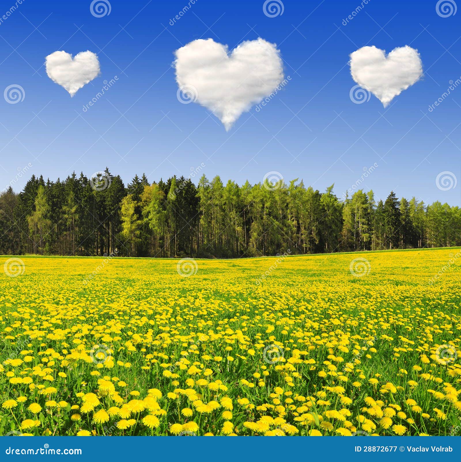 Spring landscape stock image. Image of horizon, blue - 28872677