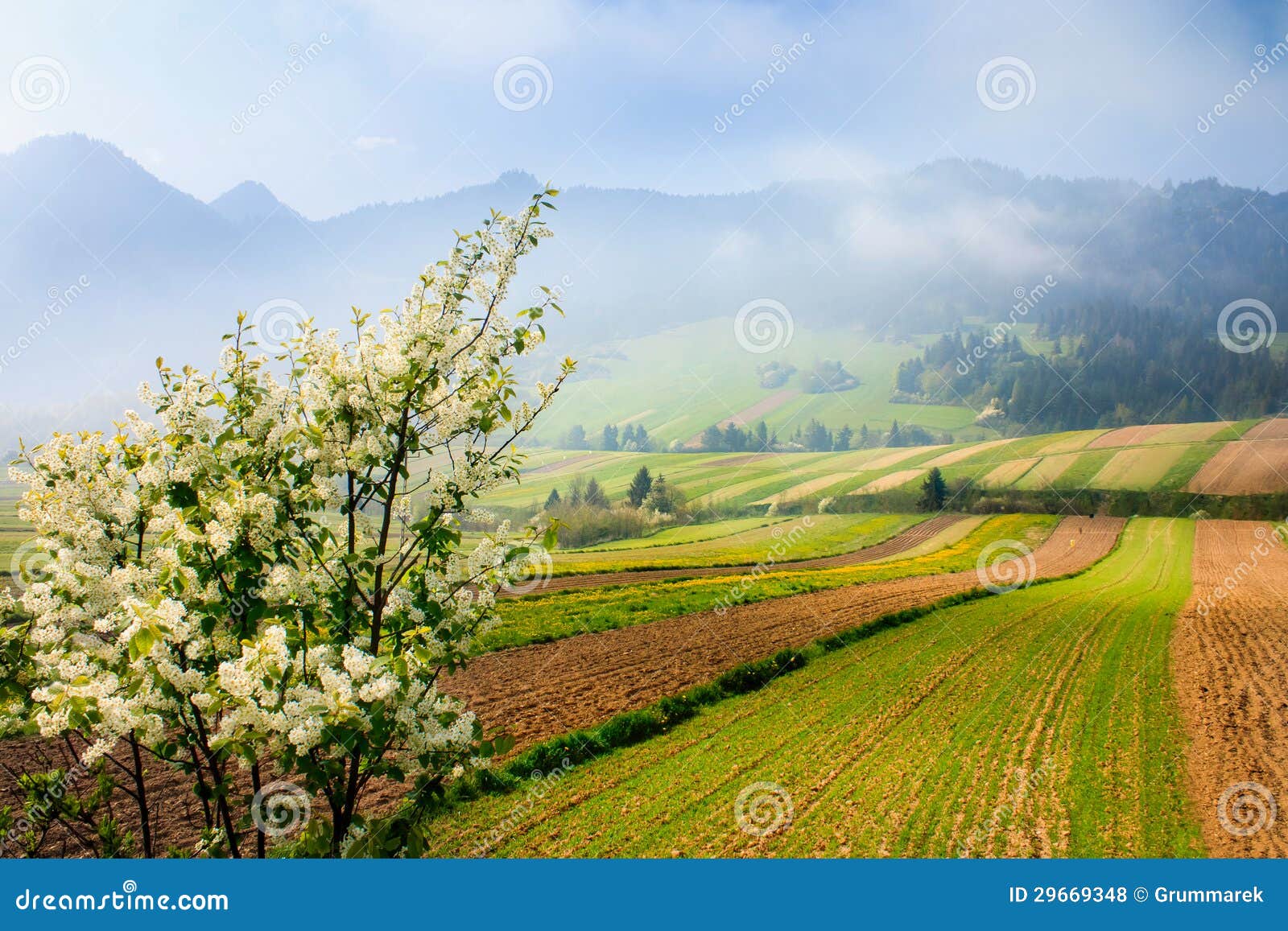 Spring Landscape stock photo. Image of rural, travel - 29669348