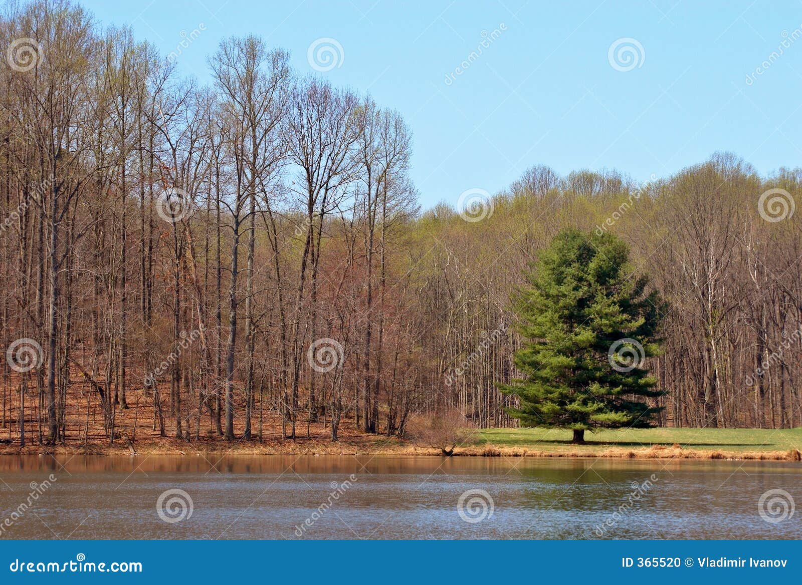 Spring landscape stock photo. Image of spring, pond, season - 365520