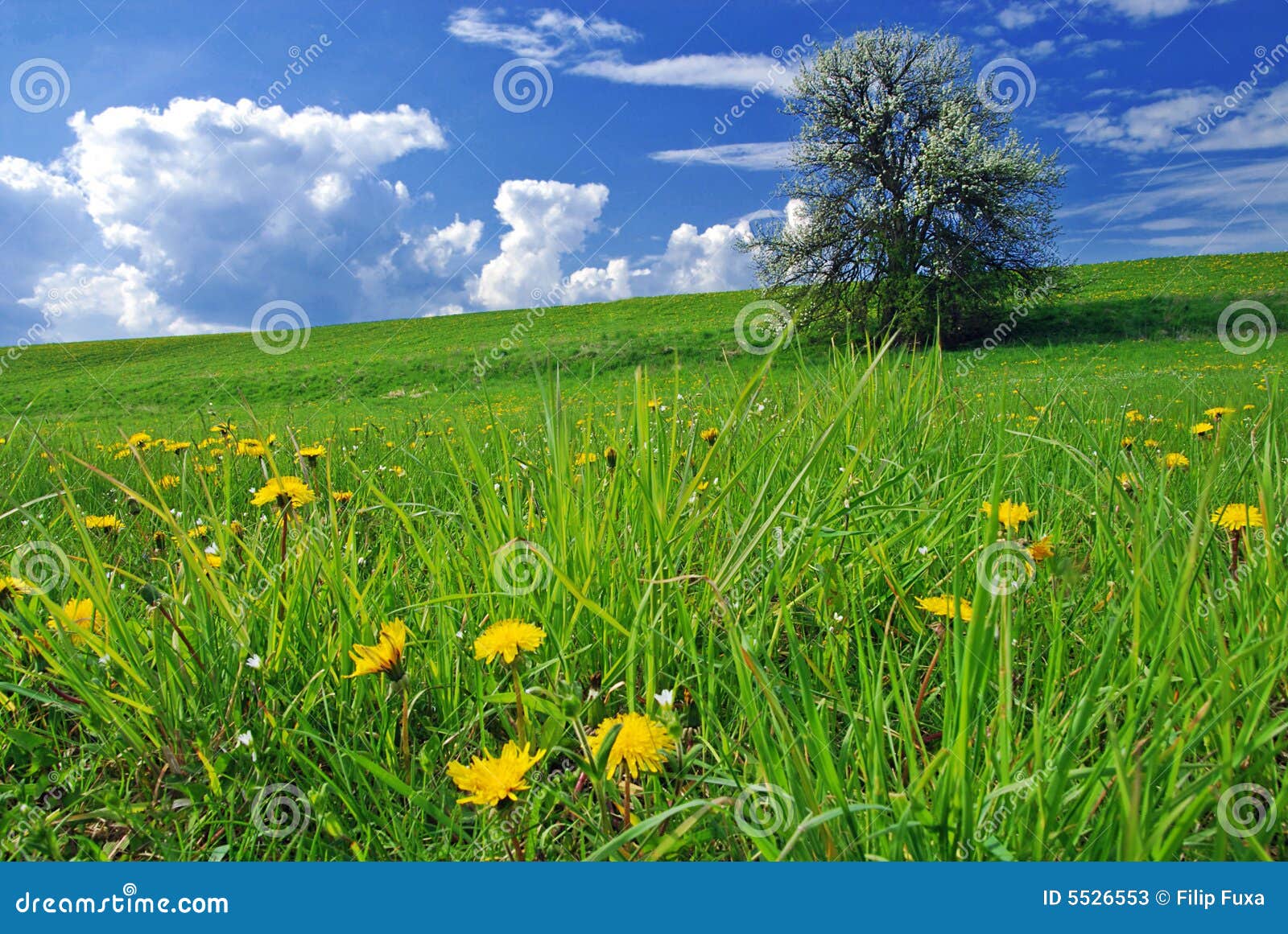 Spring landscape stock image. Image of cloud, country - 5526553