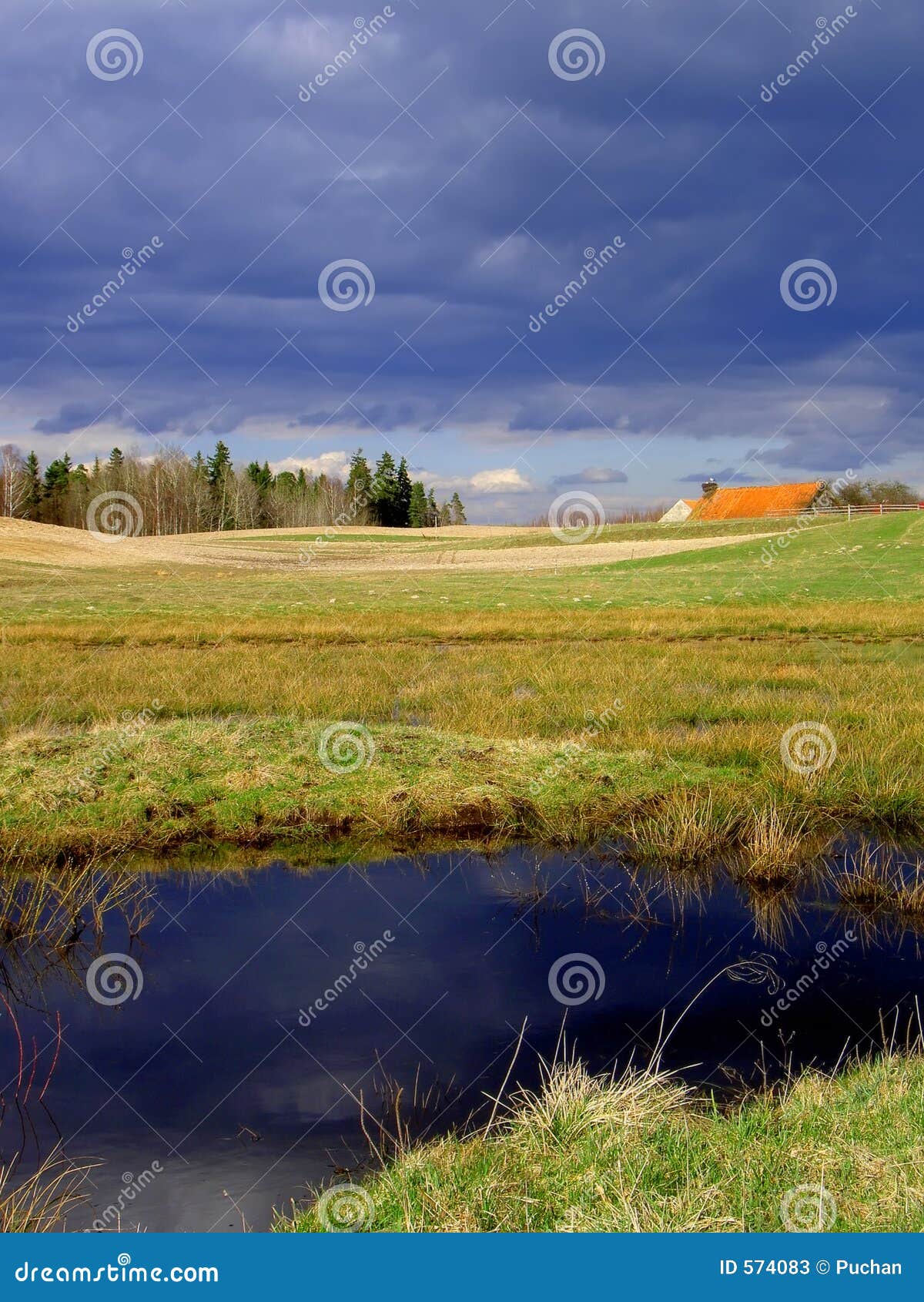Spring landscape stock image. Image of water, fresh, fields - 574083