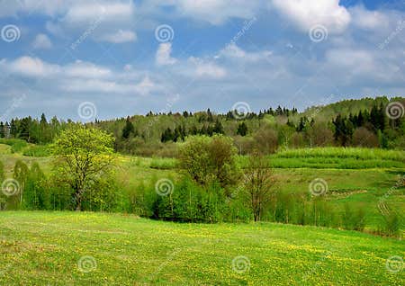 Spring landscape stock image. Image of grass, landscape - 616749