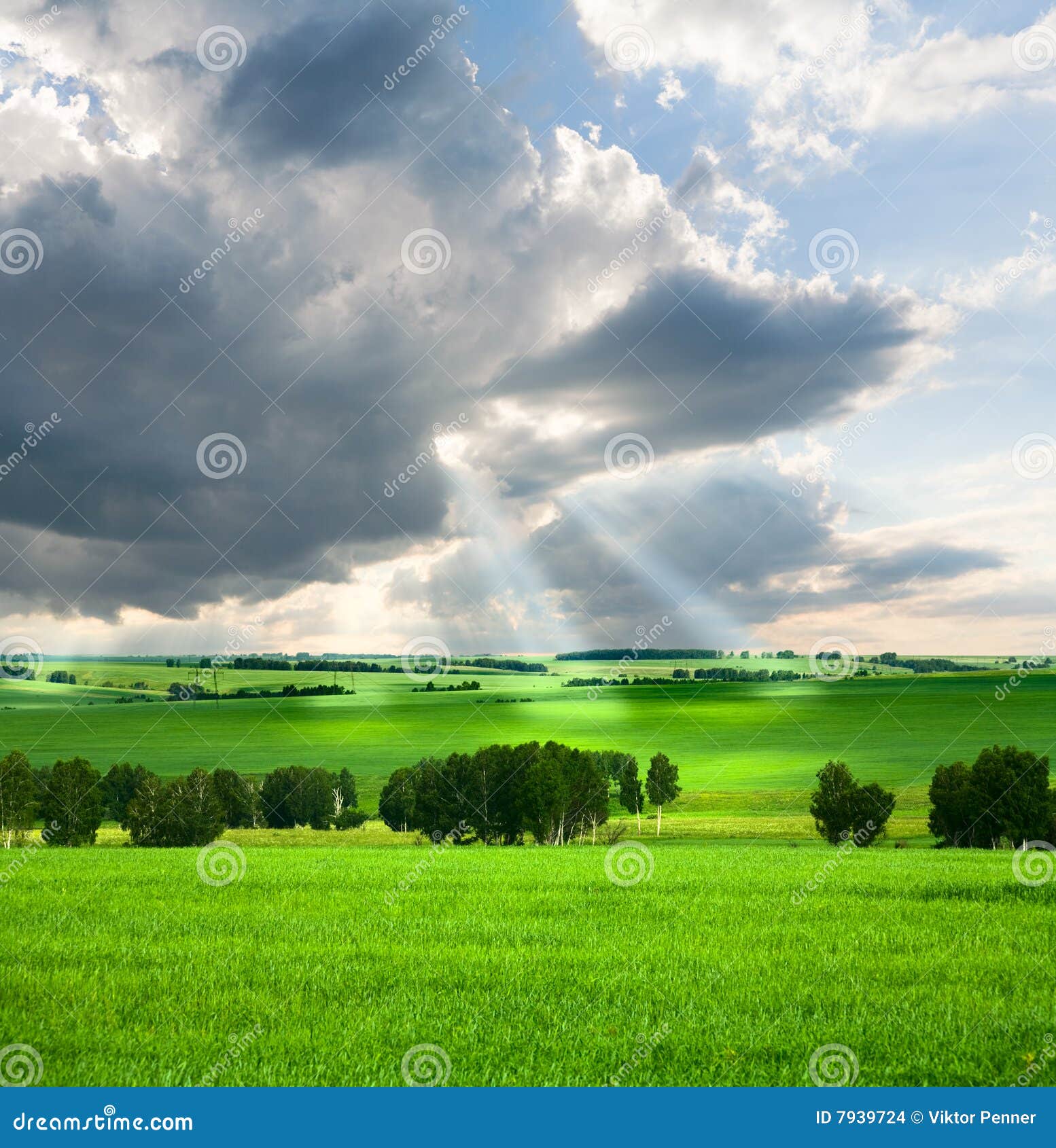 Spring landscape stock photo. Image of land, countryside - 7939724
