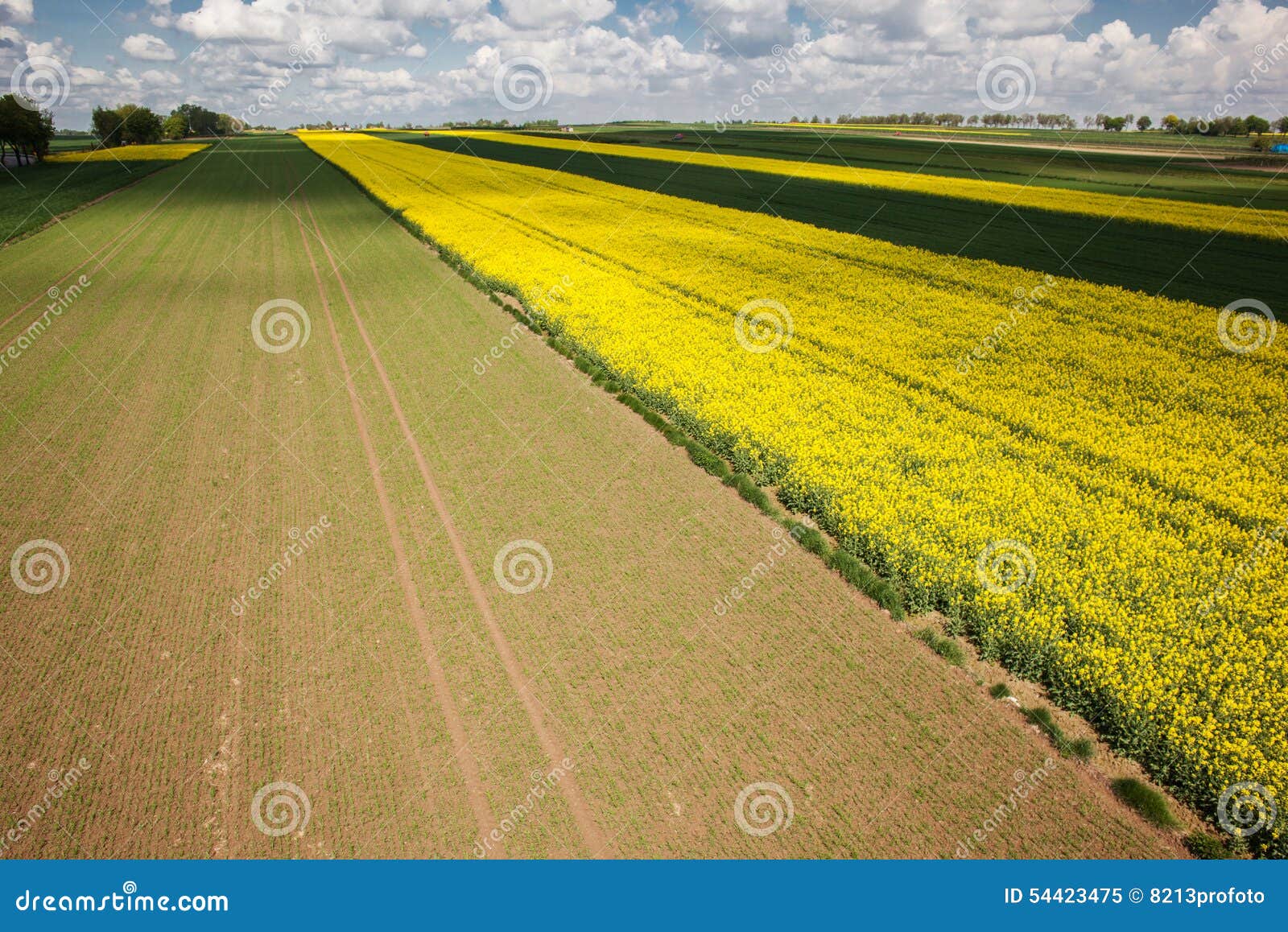Spring Landscape Aerial Photo Stock Image - Image of colour, head: 54423475