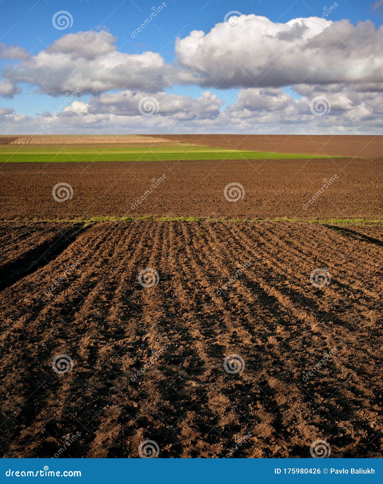 Spring Landscape with Arable Land, Rural Green Field Stock Photo ...