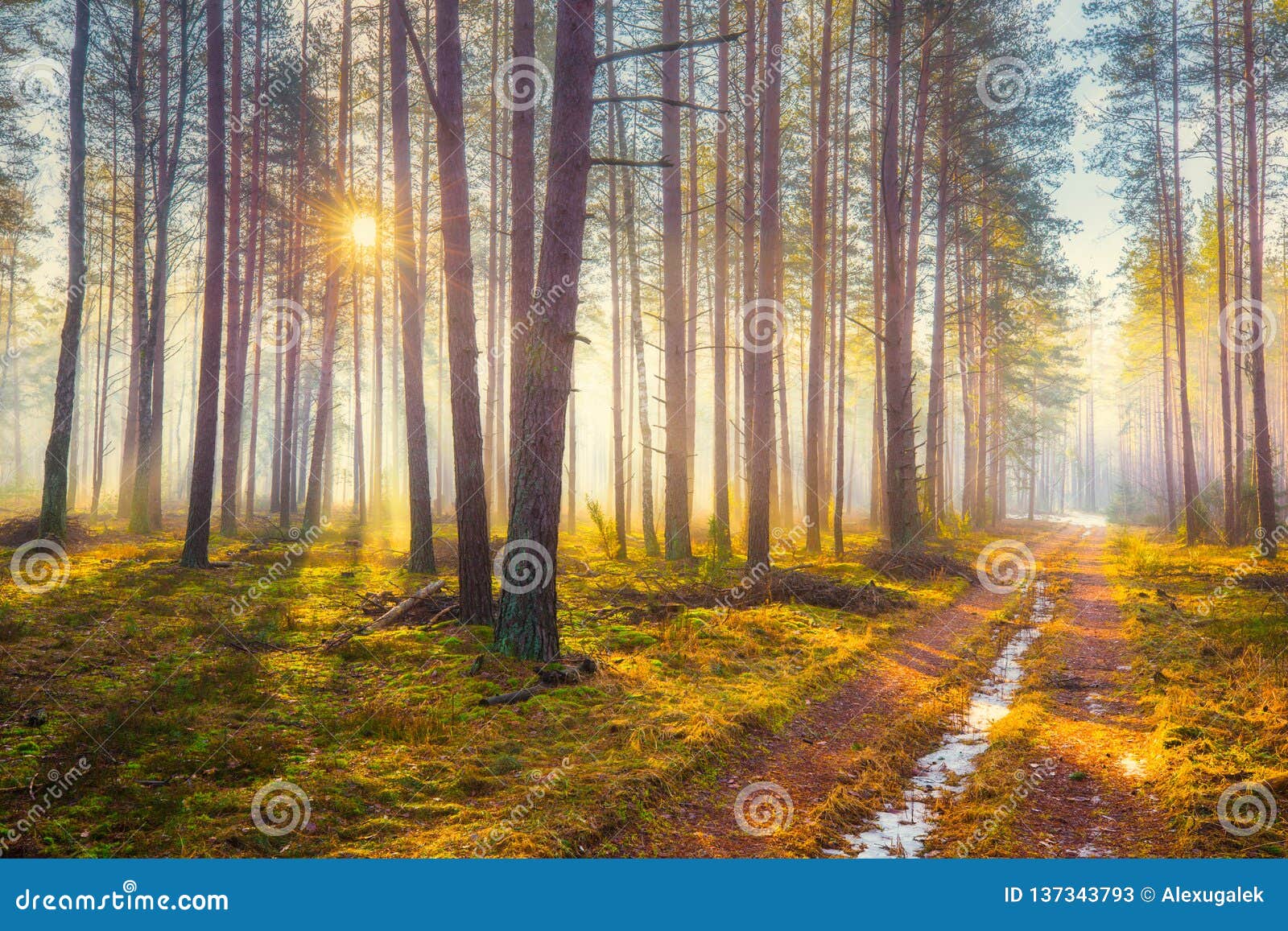 April Landscape Wallpaper