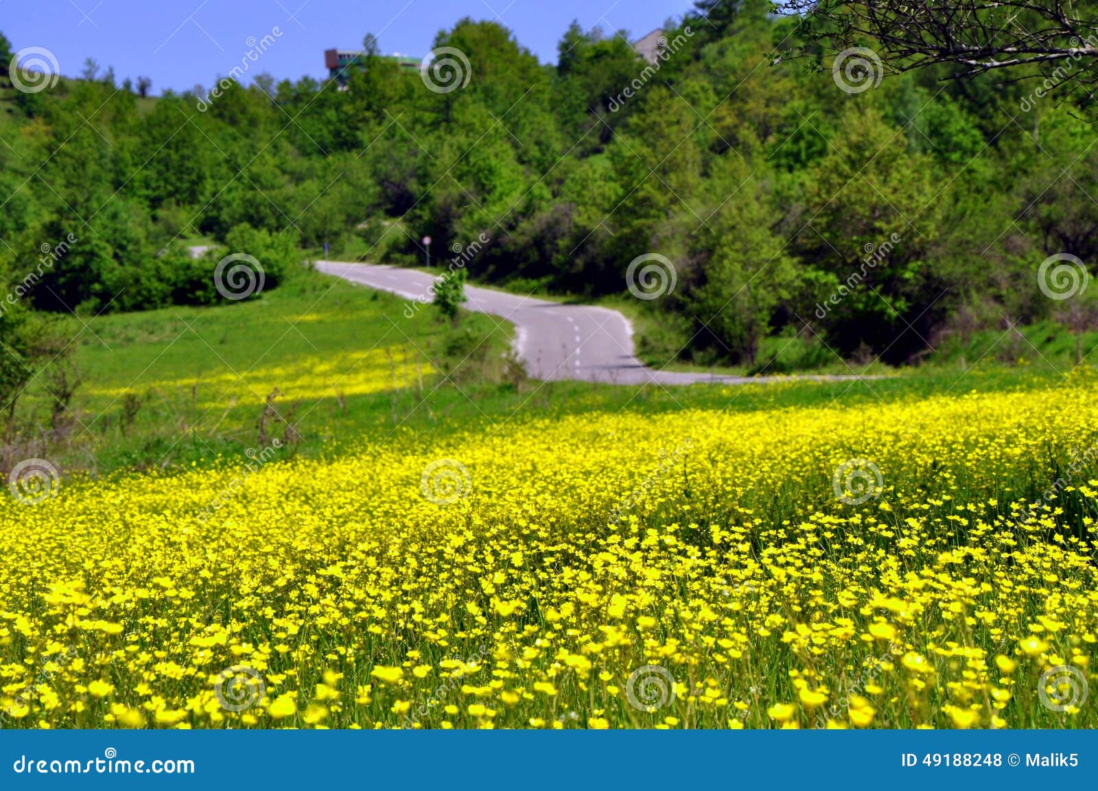 Spring landscape stock photo. Image of road, tree, destination - 49188248