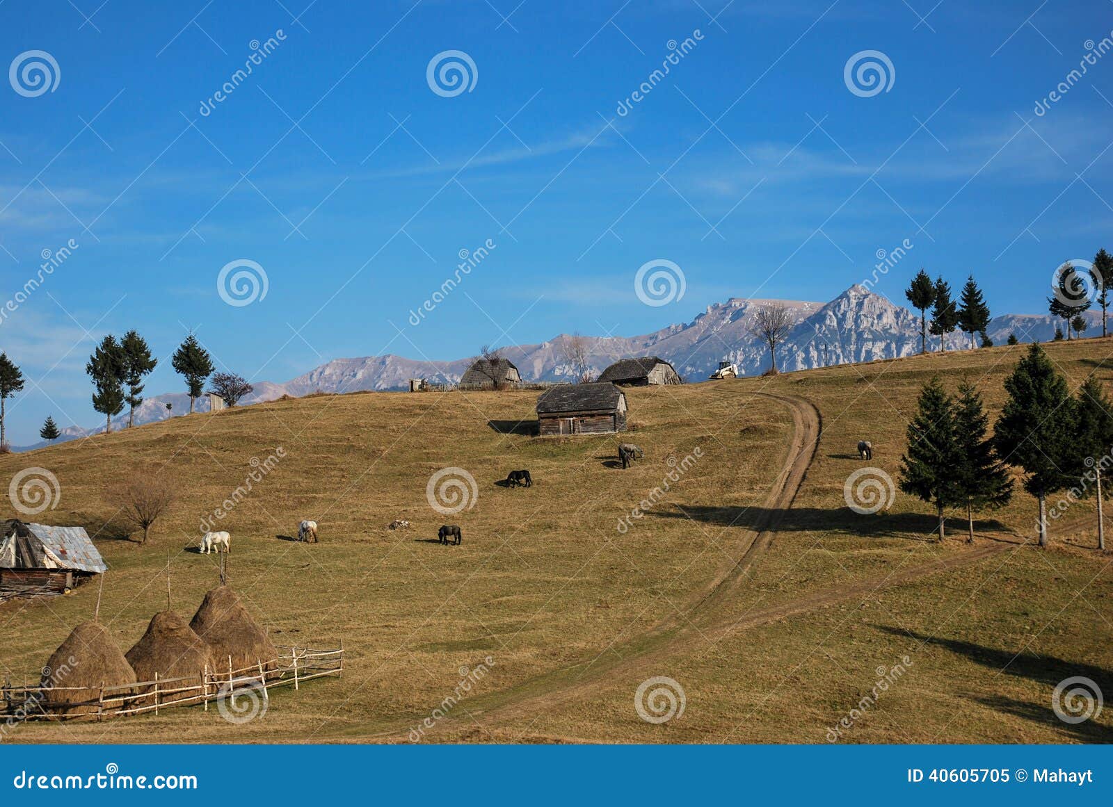 Spring Landscape. Beautifull Scene in Romanian Carpathians Stock Image ...