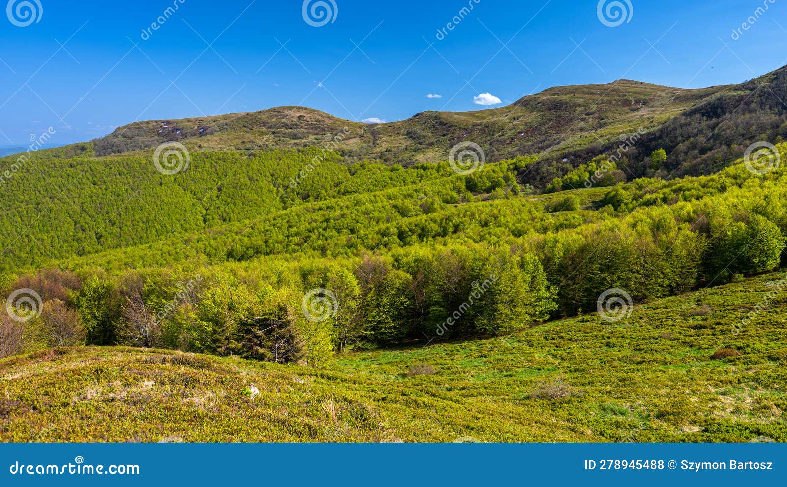 Spring Landscape of the Bieszczady Mountains. a View of the Mount ...