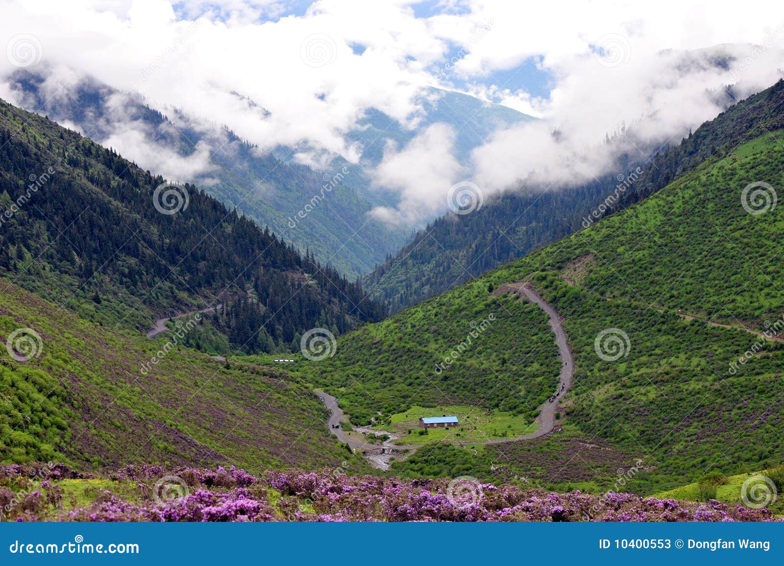 Spring Landscape with Blooming Pink Flowers Stock Image - Image of ...