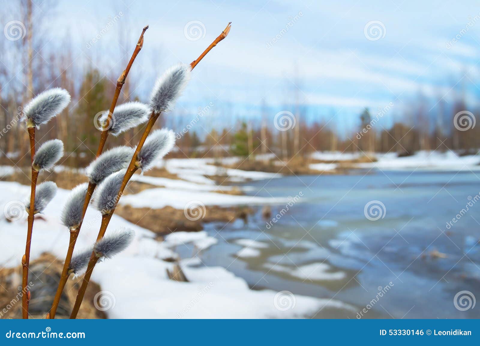577 Flood Taiga Stock Photos - Free & Royalty-Free Stock Photos from ...