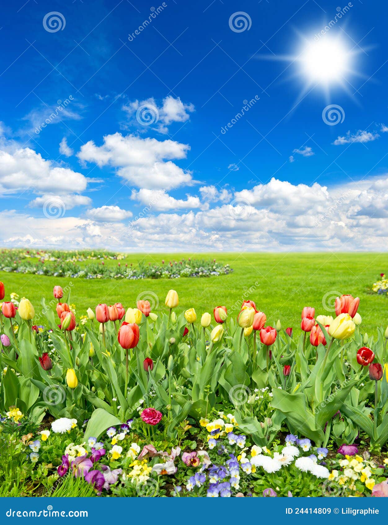 Spring Landscape with Blue Sunny Sky Stock Image - Image of meadow ...