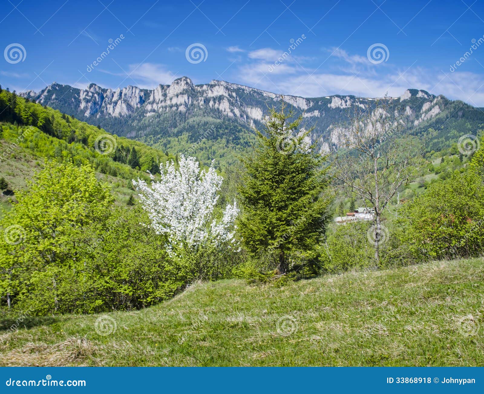 Spring landscape stock photo. Image of landscape, cloudy - 33868918