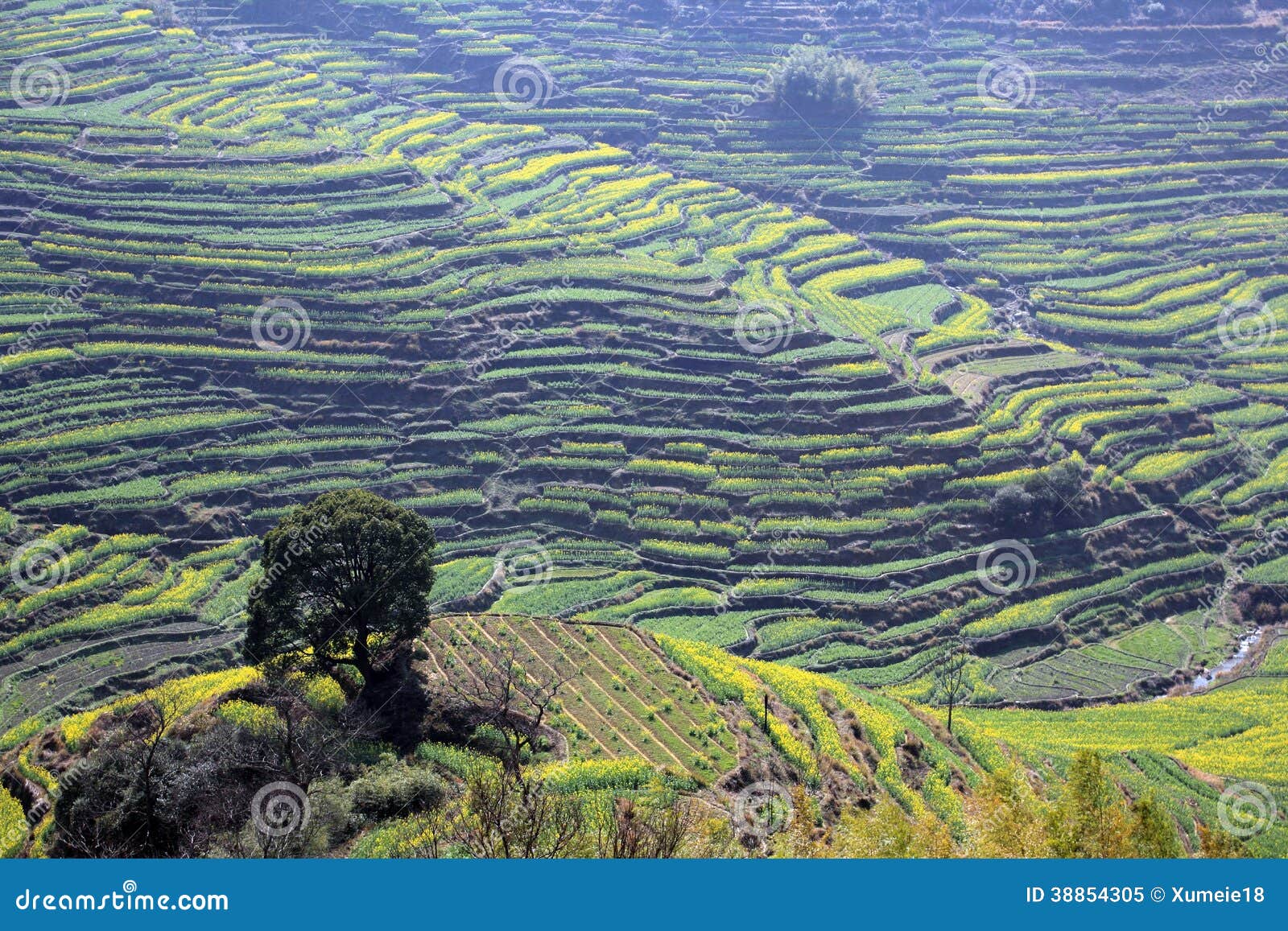 Spring landscape China stock image. Image of fresh, scene - 38854305