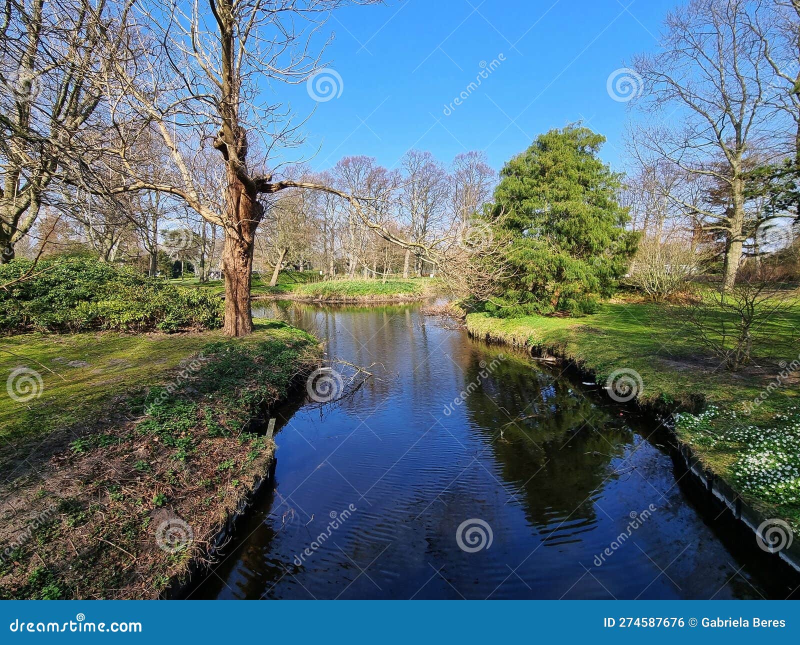 Spring Landscape in the City Park. Stock Photo - Image of environment ...