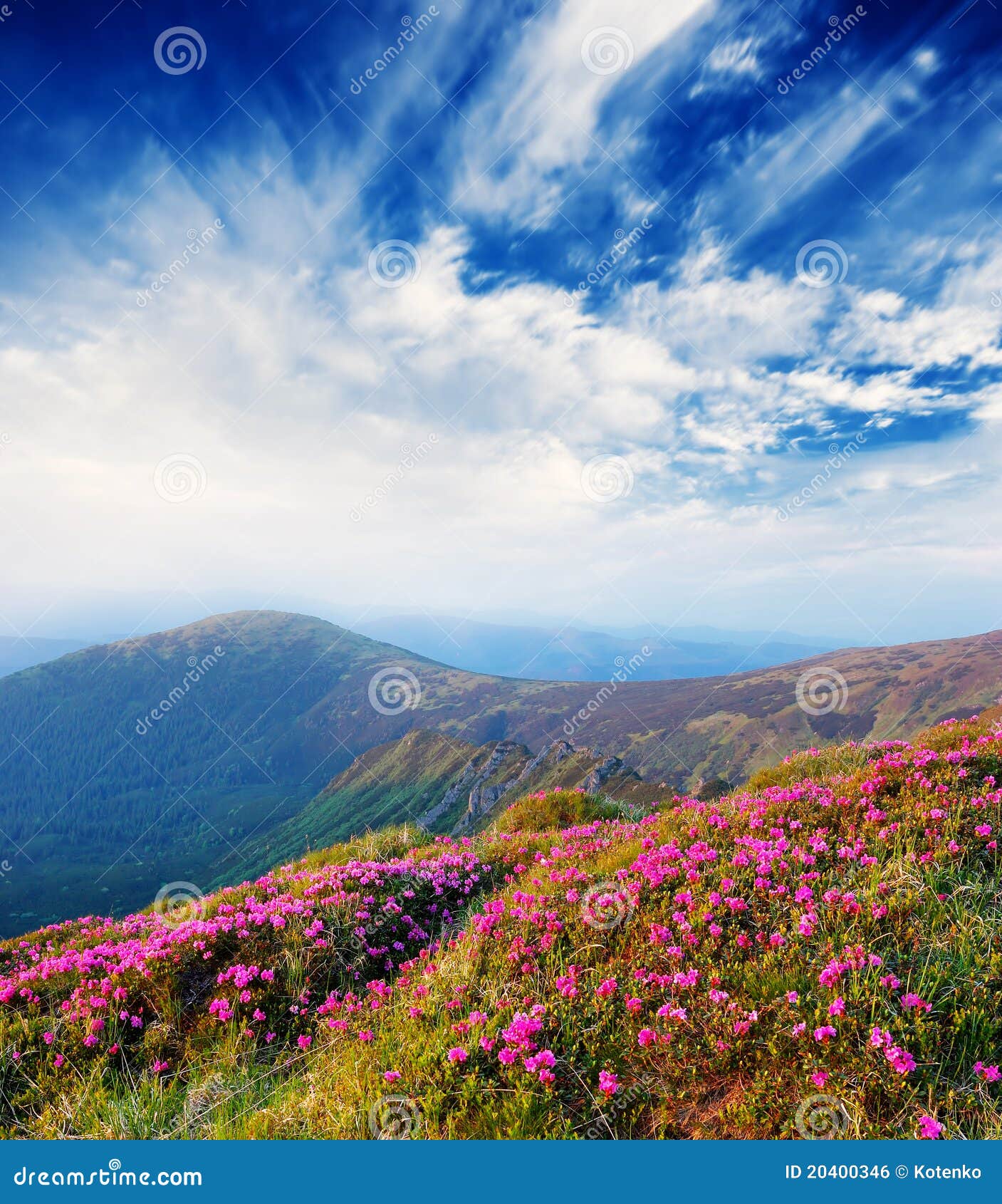 Spring Landscape with the Cloudy Sky and Colors Stock Photo - Image of ...