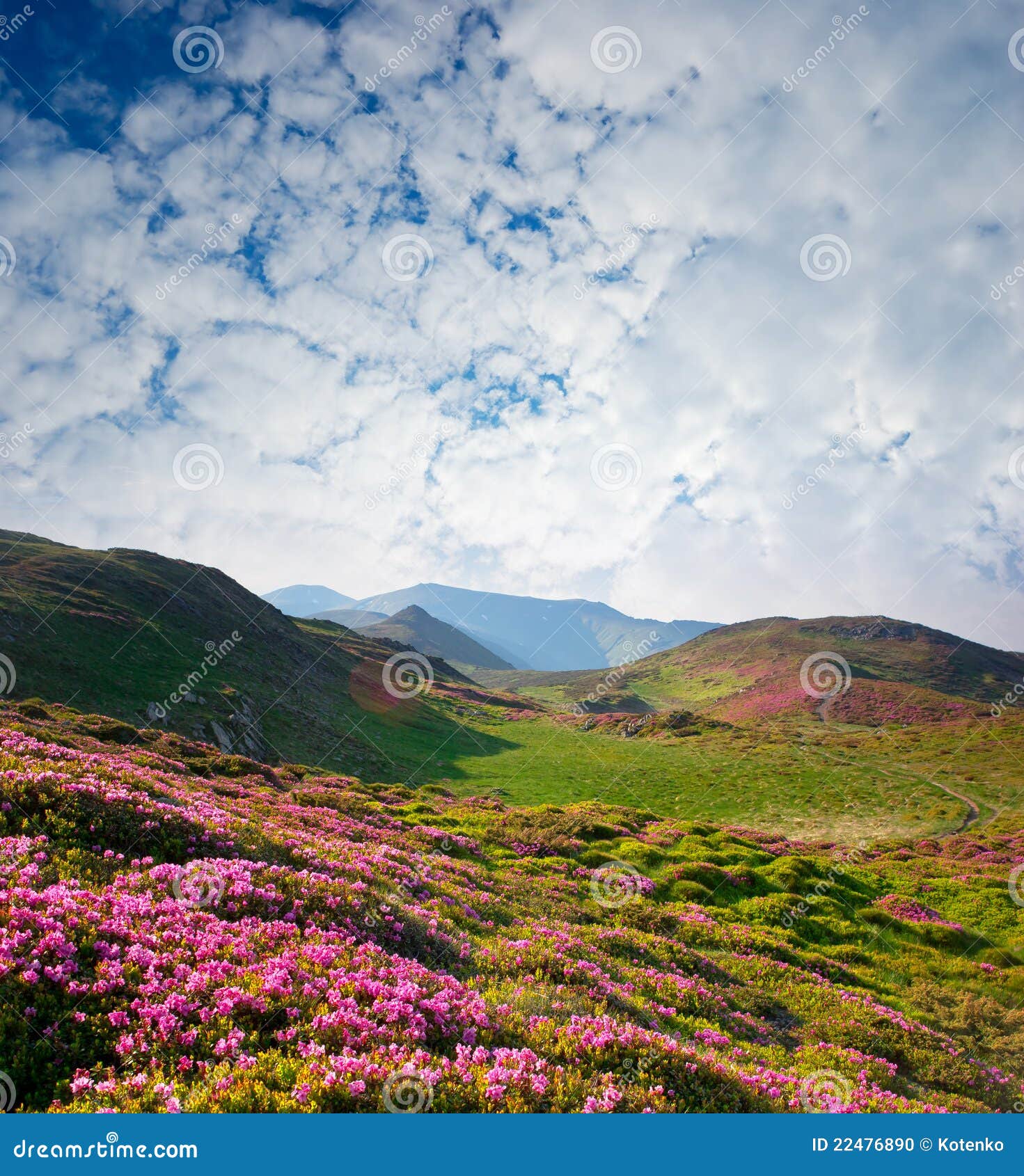 Spring Landscape with the Cloudy Sky and Flower Stock Photo - Image of ...