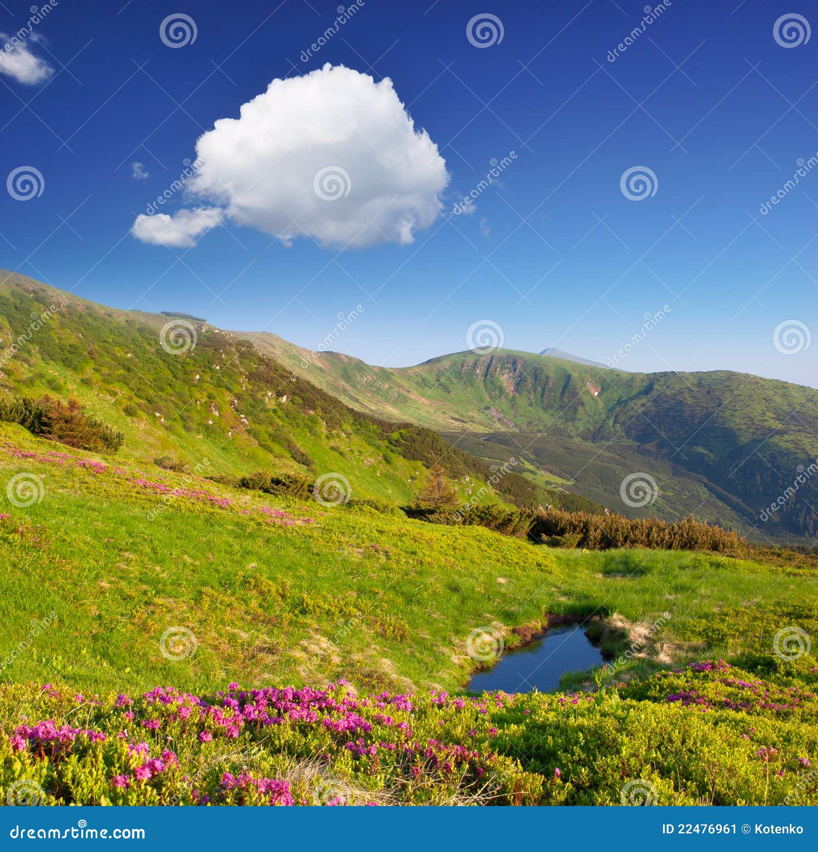 Spring Landscape with the Cloudy Sky and Flower Stock Image - Image of ...