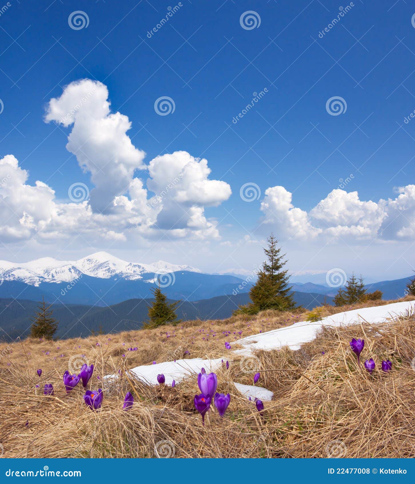 Spring Landscape with the Cloudy Sky and Flower Stock Photo - Image of ...