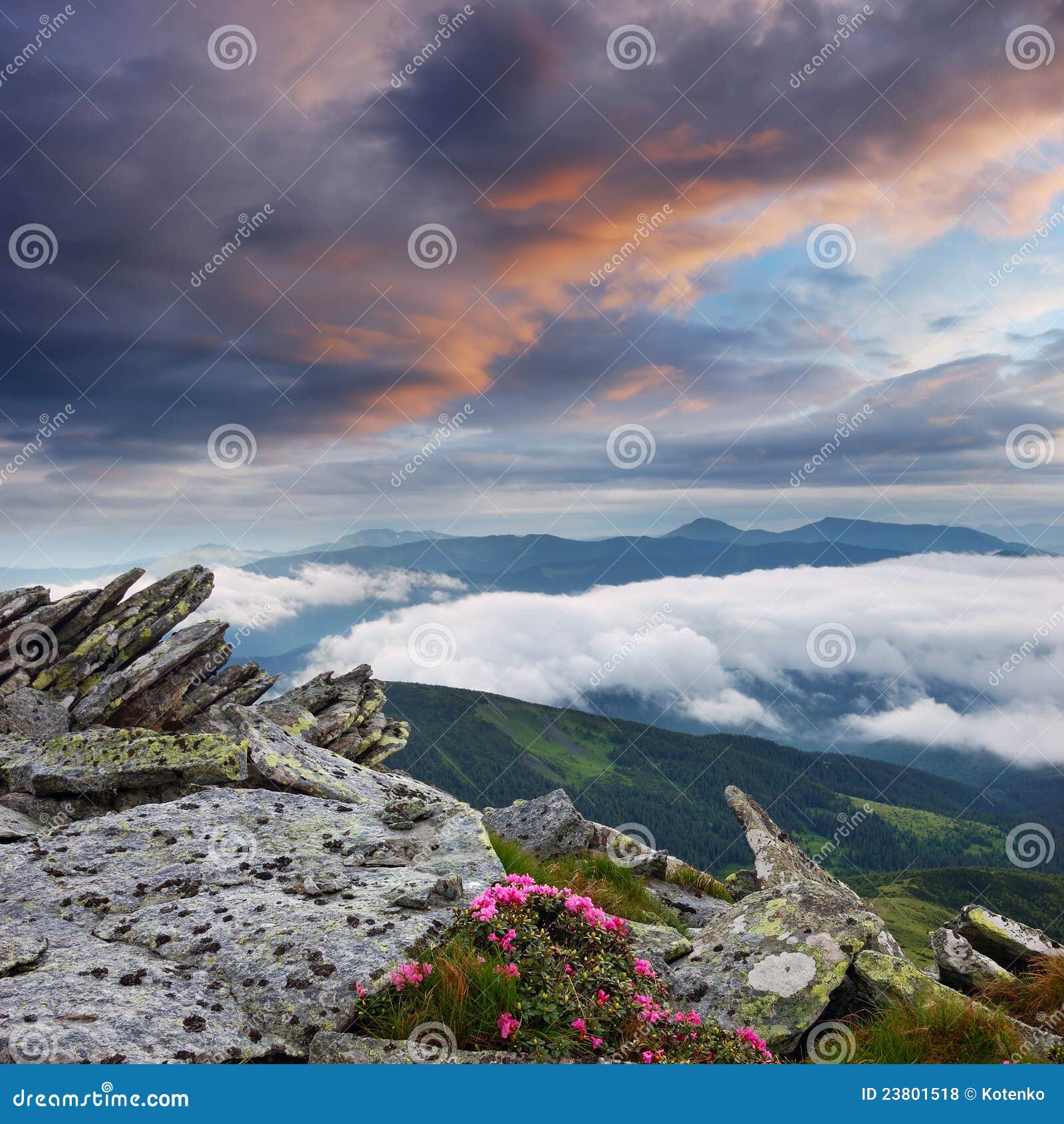 Spring Landscape with the Cloudy Sky and Flower Stock Photo - Image of ...