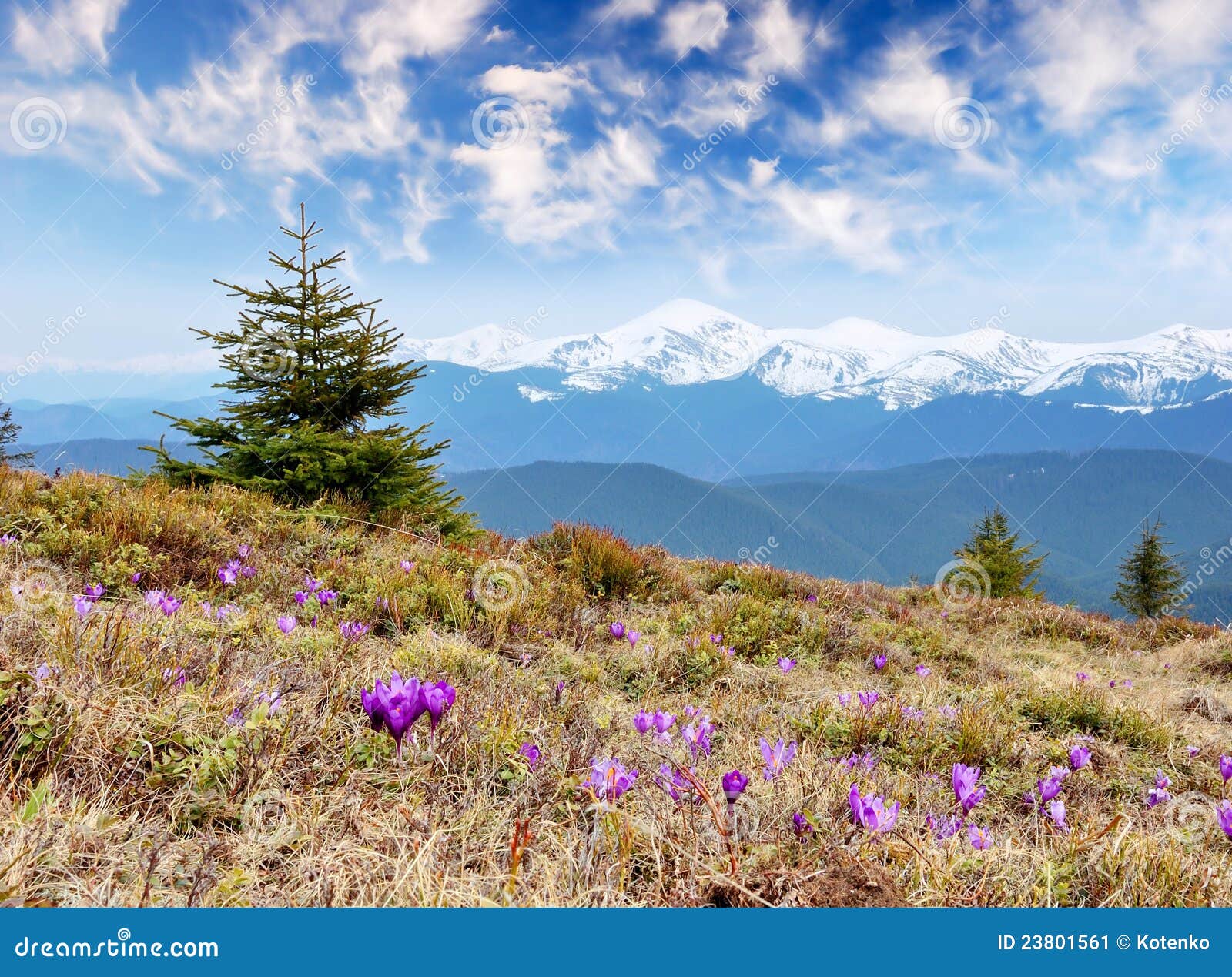 Spring Landscape with the Cloudy Sky and Flower Stock Image - Image of ...