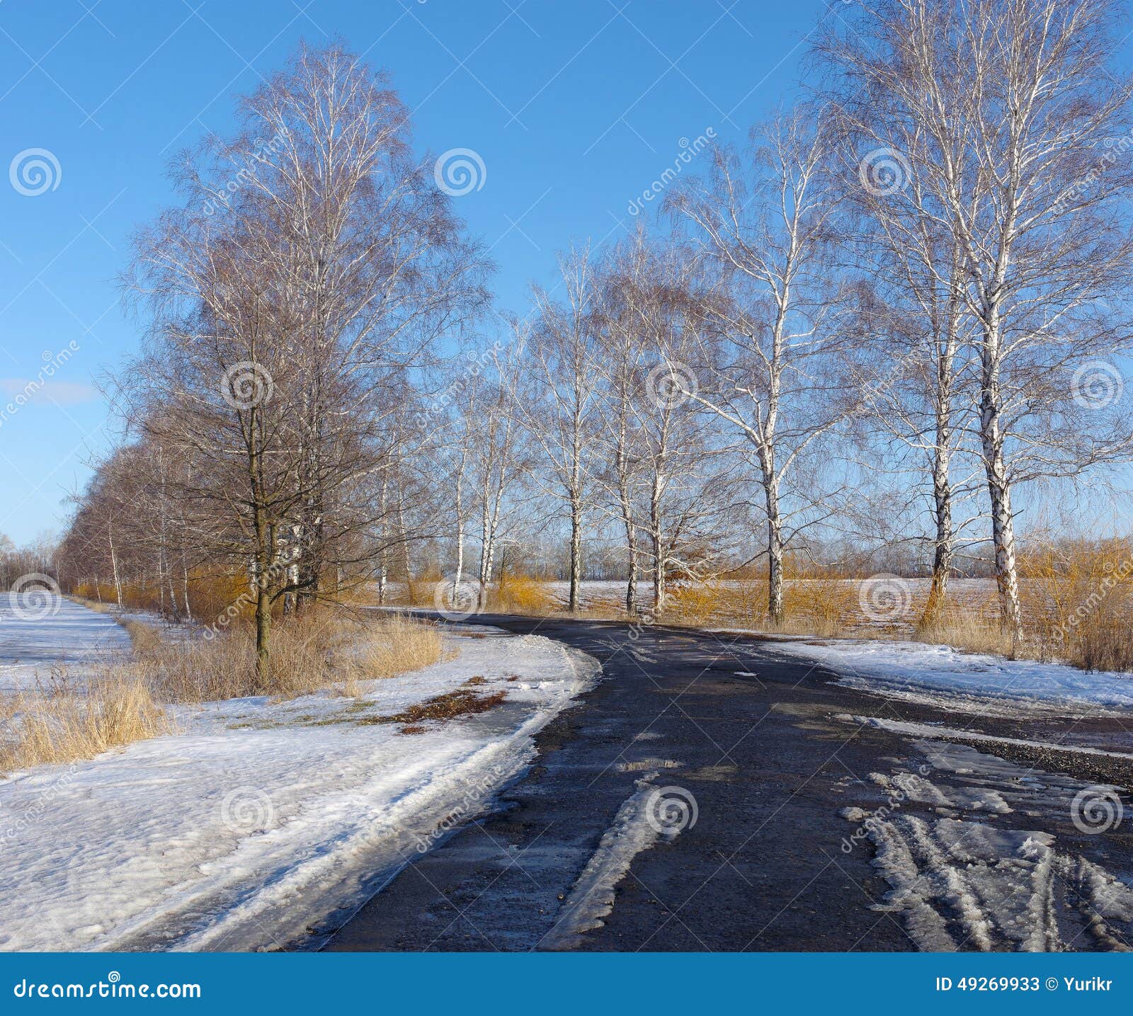 Spring Landscape with Country Road Stock Image - Image of straight ...