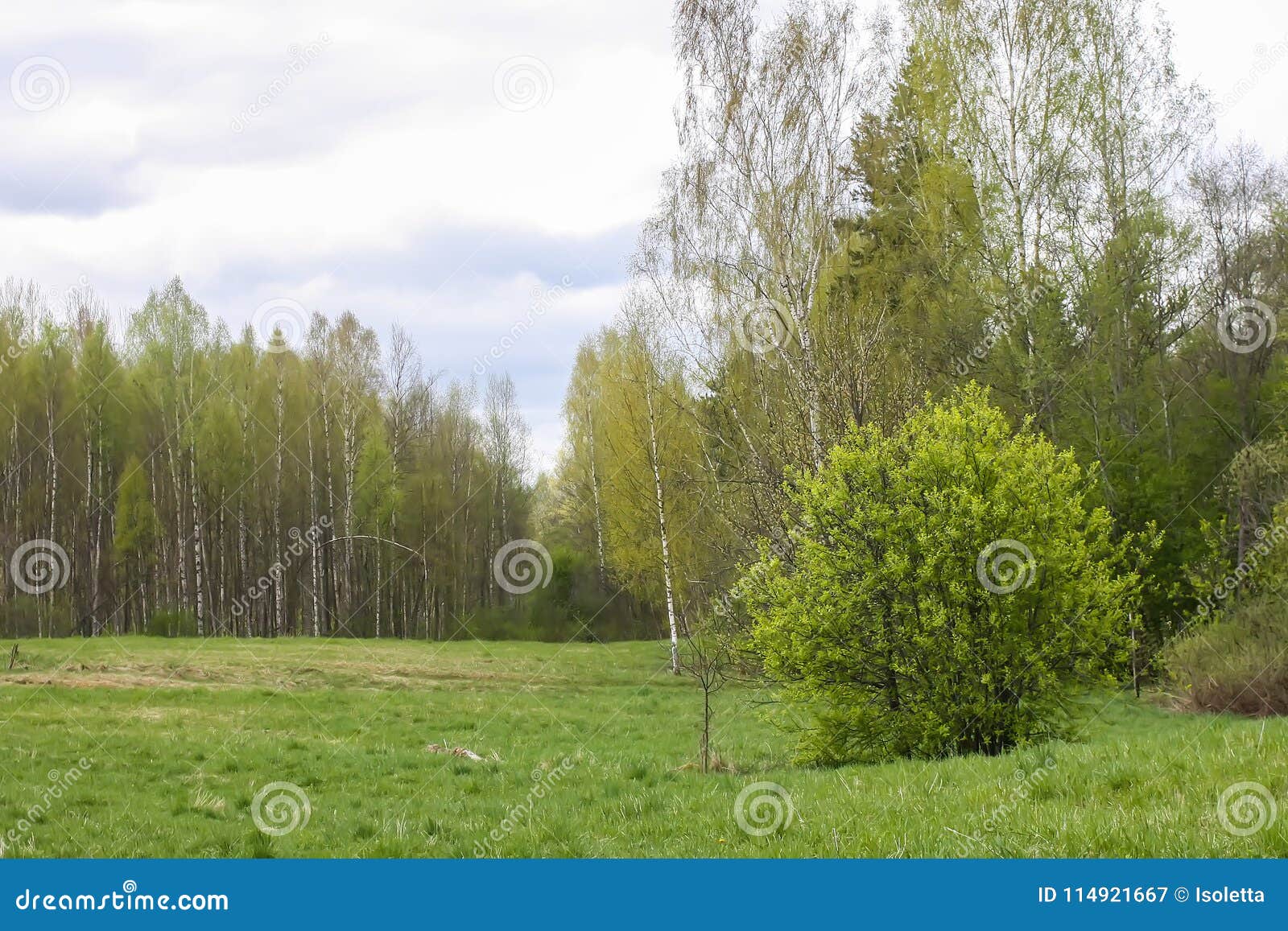 Spring Landscape in Countryside. Stock Image - Image of spring ...