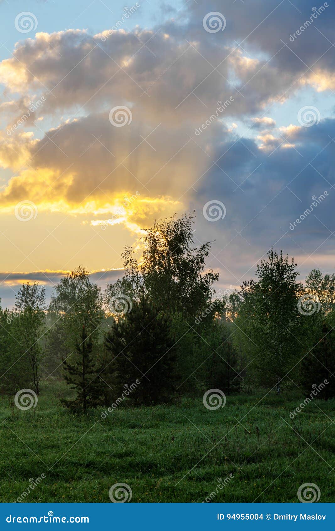 Spring landscape at dawn stock photo. Image of dawn, green - 94955004