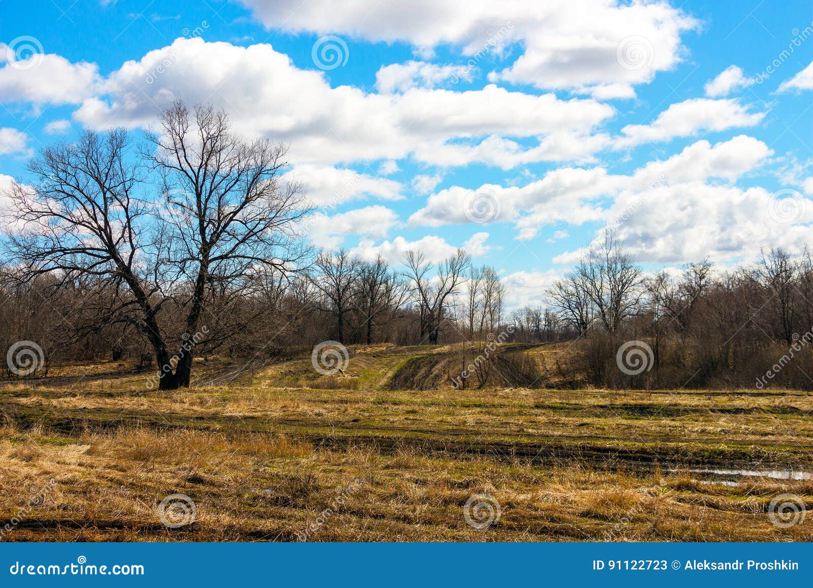 Spring Landscape. Dirty Spring Road Stock Image - Image of land, muddy ...