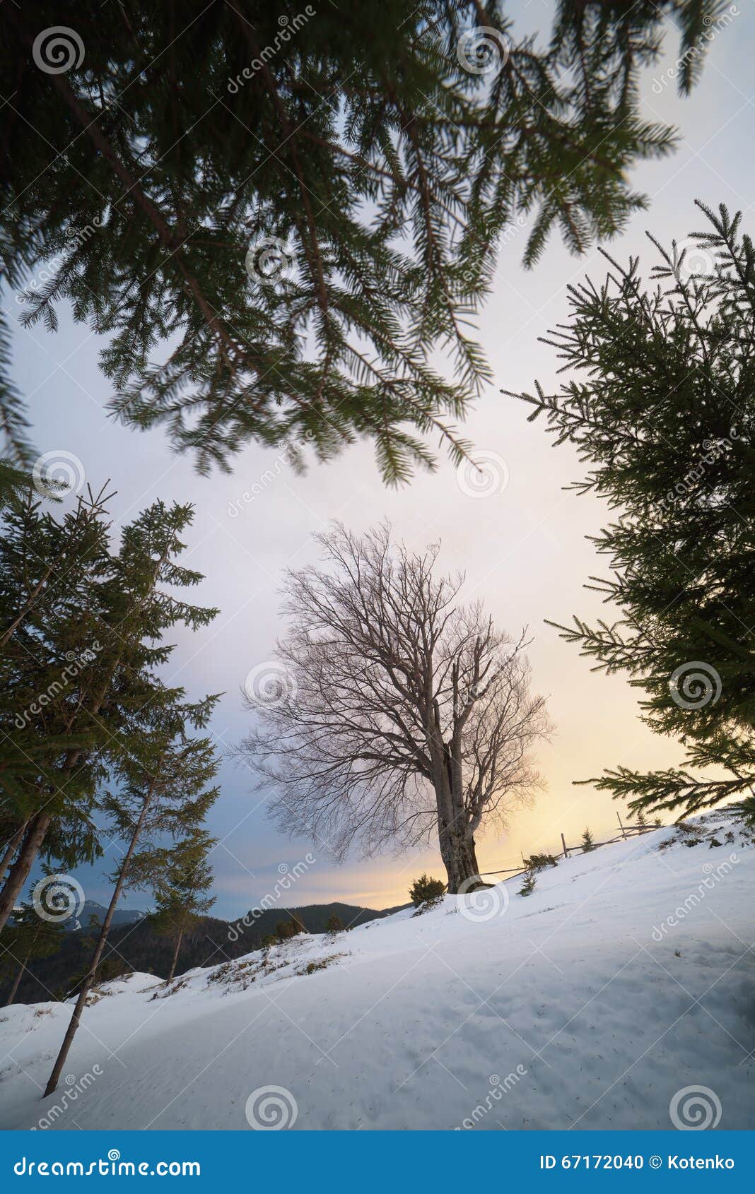 Spring Landscape in Evening Stock Photo - Image of snow, winter: 67172040