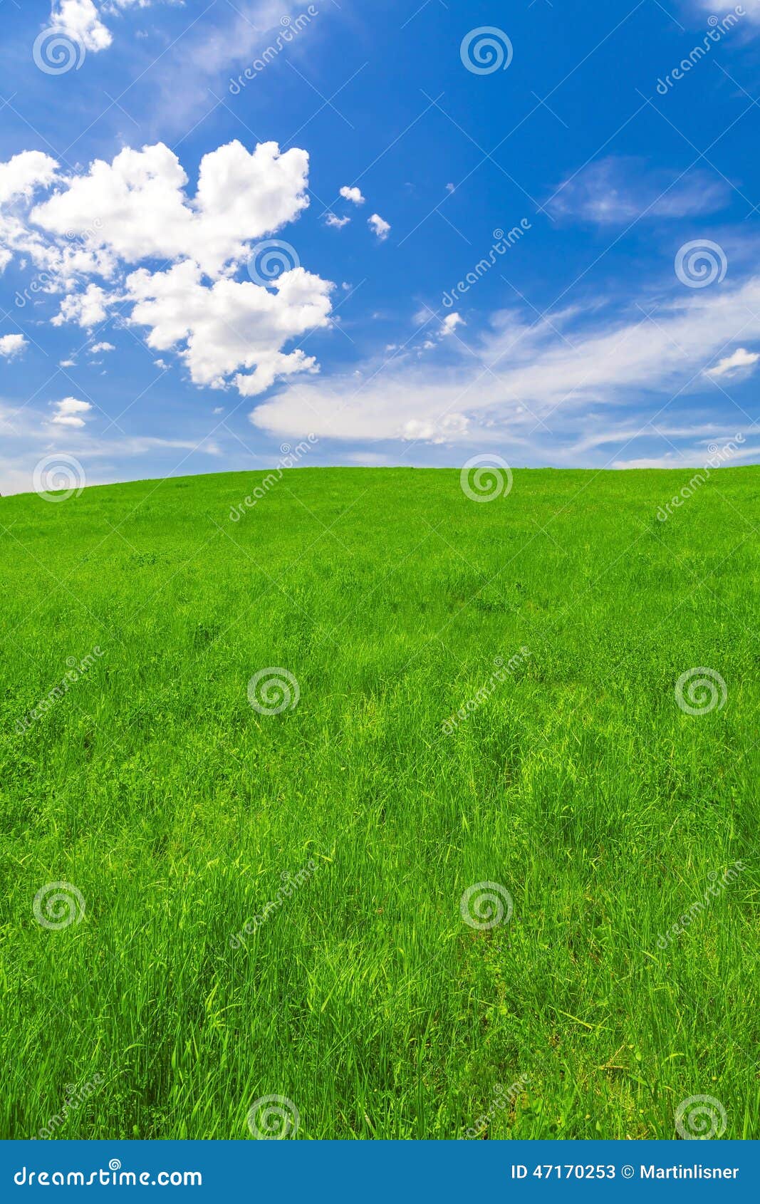 Spring Landscape, Field and Blue Sky Stock Image - Image of forest ...