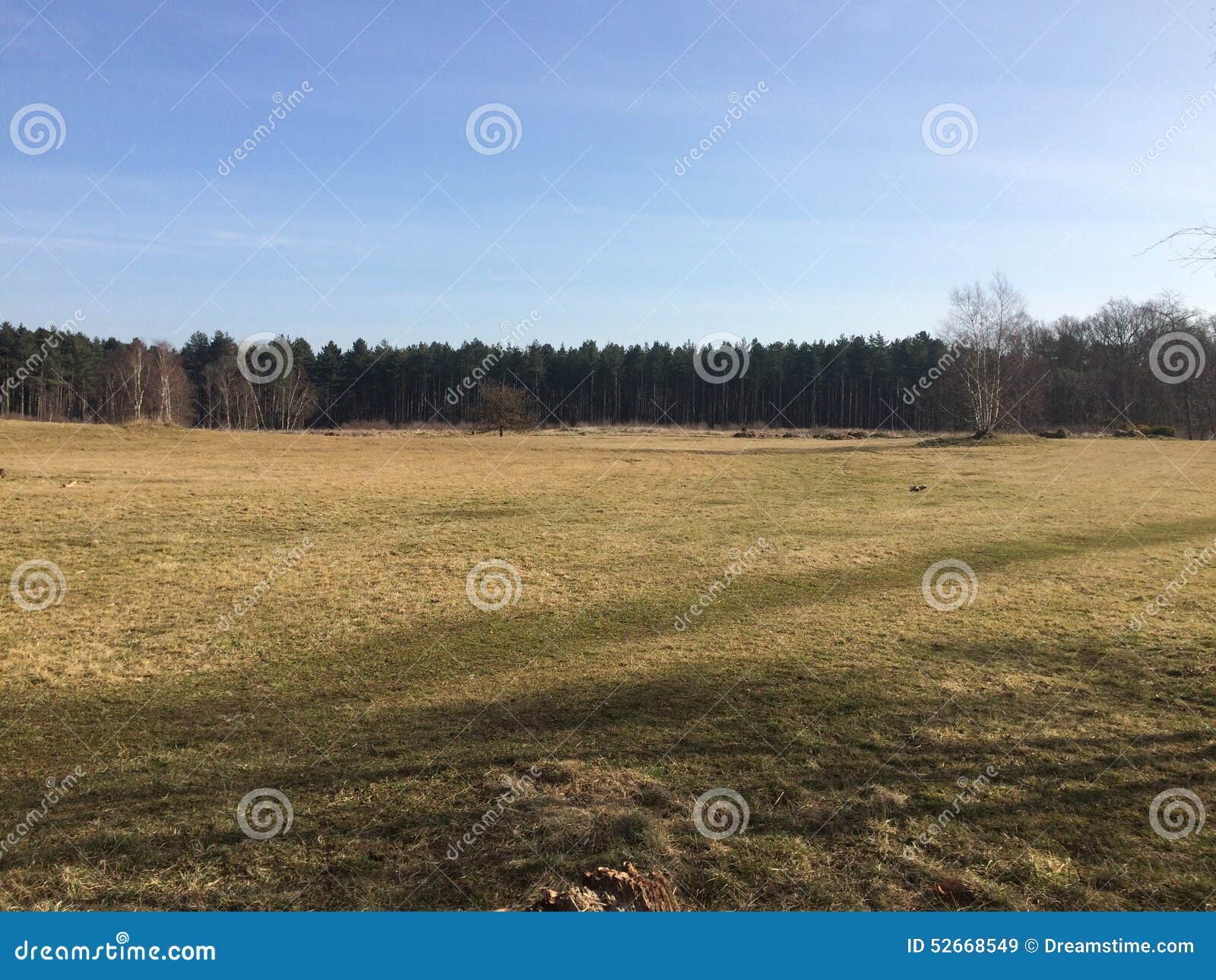 Spring landscape stock image. Image of airfield, forest - 52668549