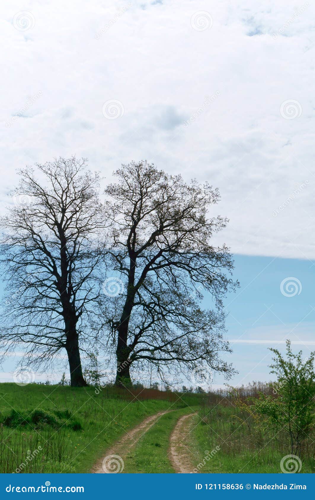 Spring Landscape Field, Field Road, Trees and Path in the Field Stock ...